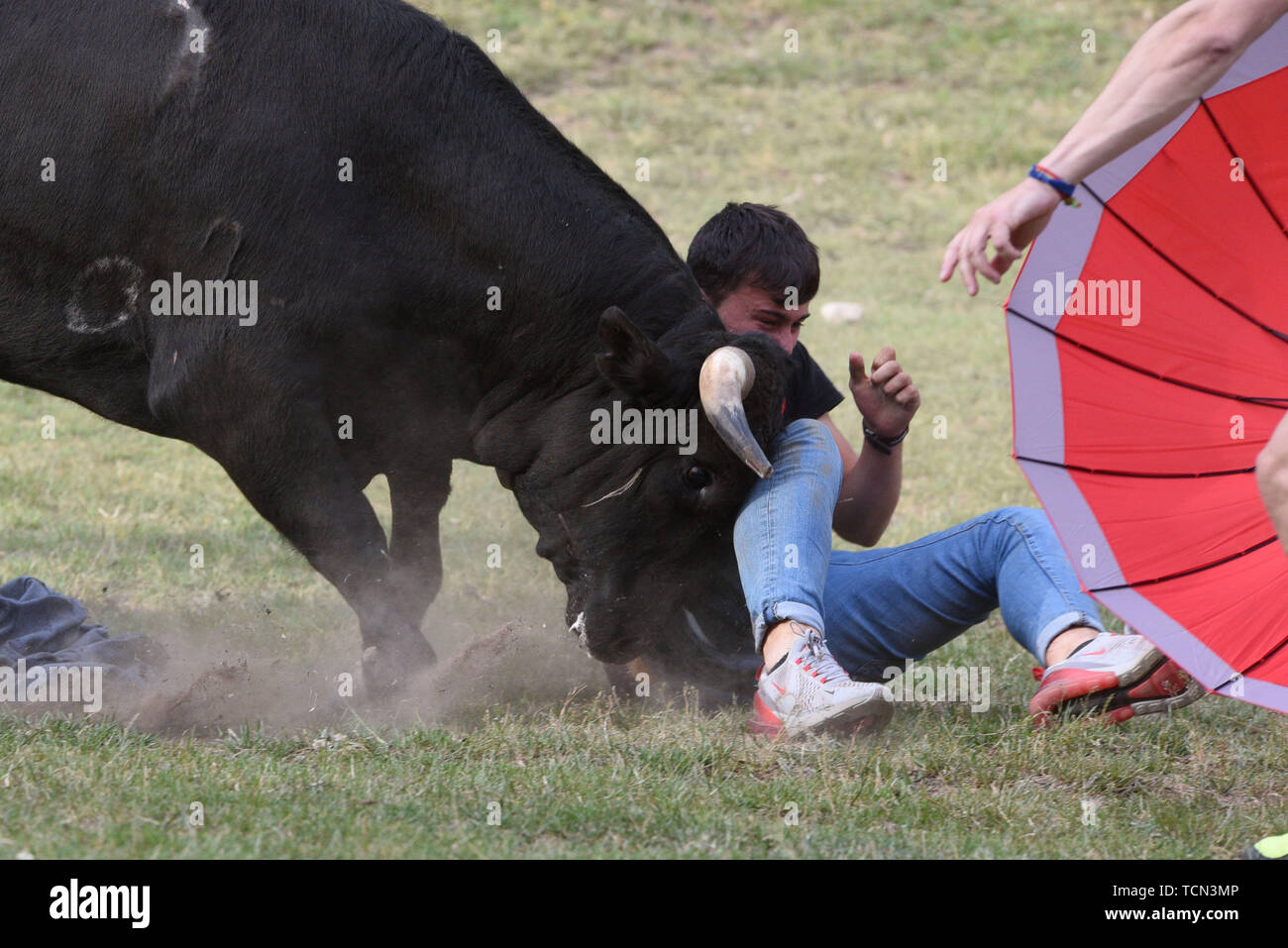 Pinned down hi-res stock photography and images - Alamy