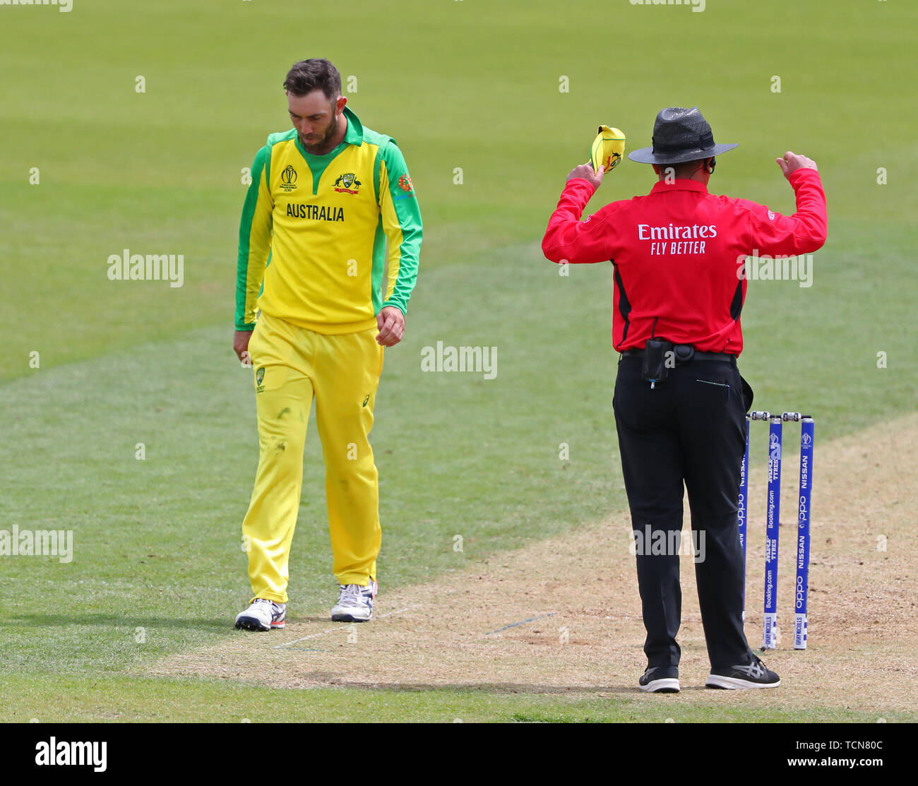 Cricket umpire signals hi-res stock photography and images - Alamy