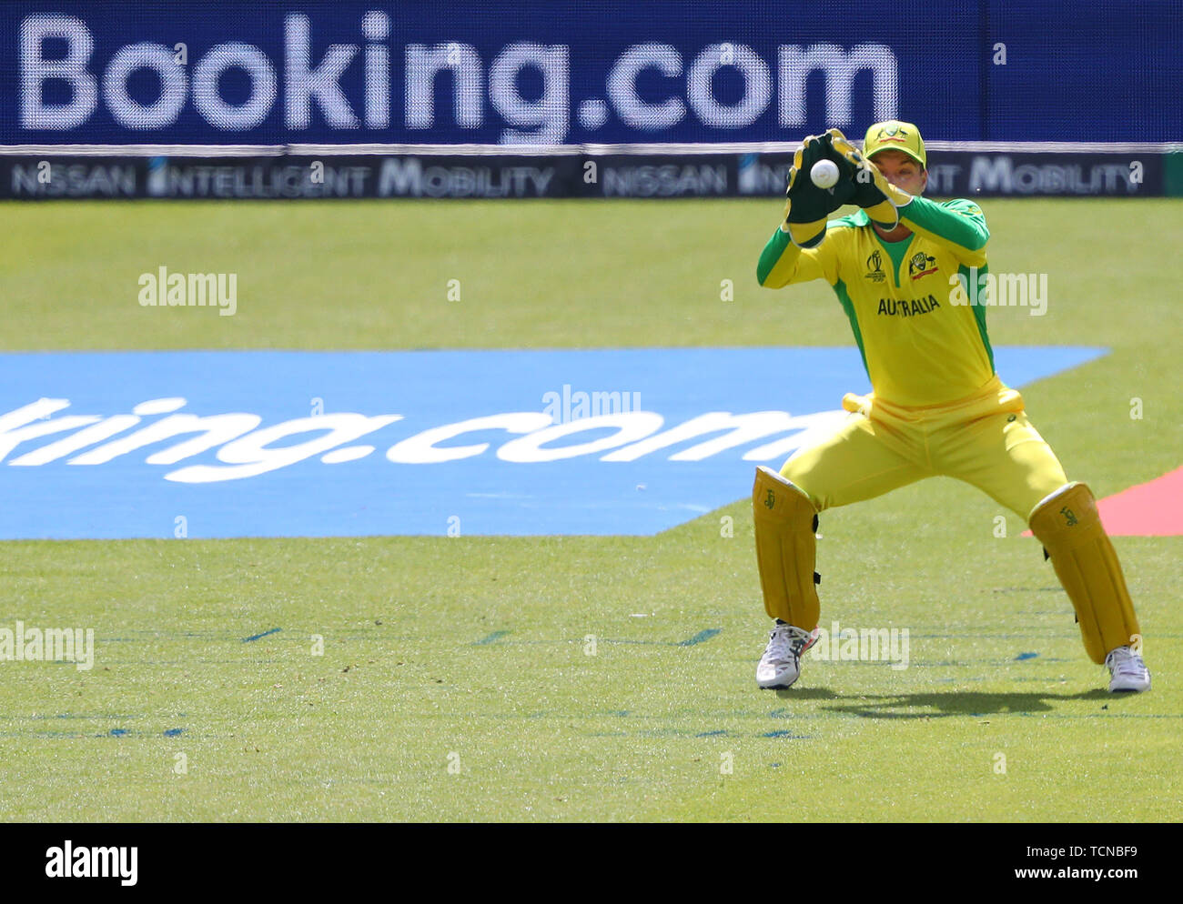 Wicketkeeper alex carey hi-res stock photography and images - Alamy