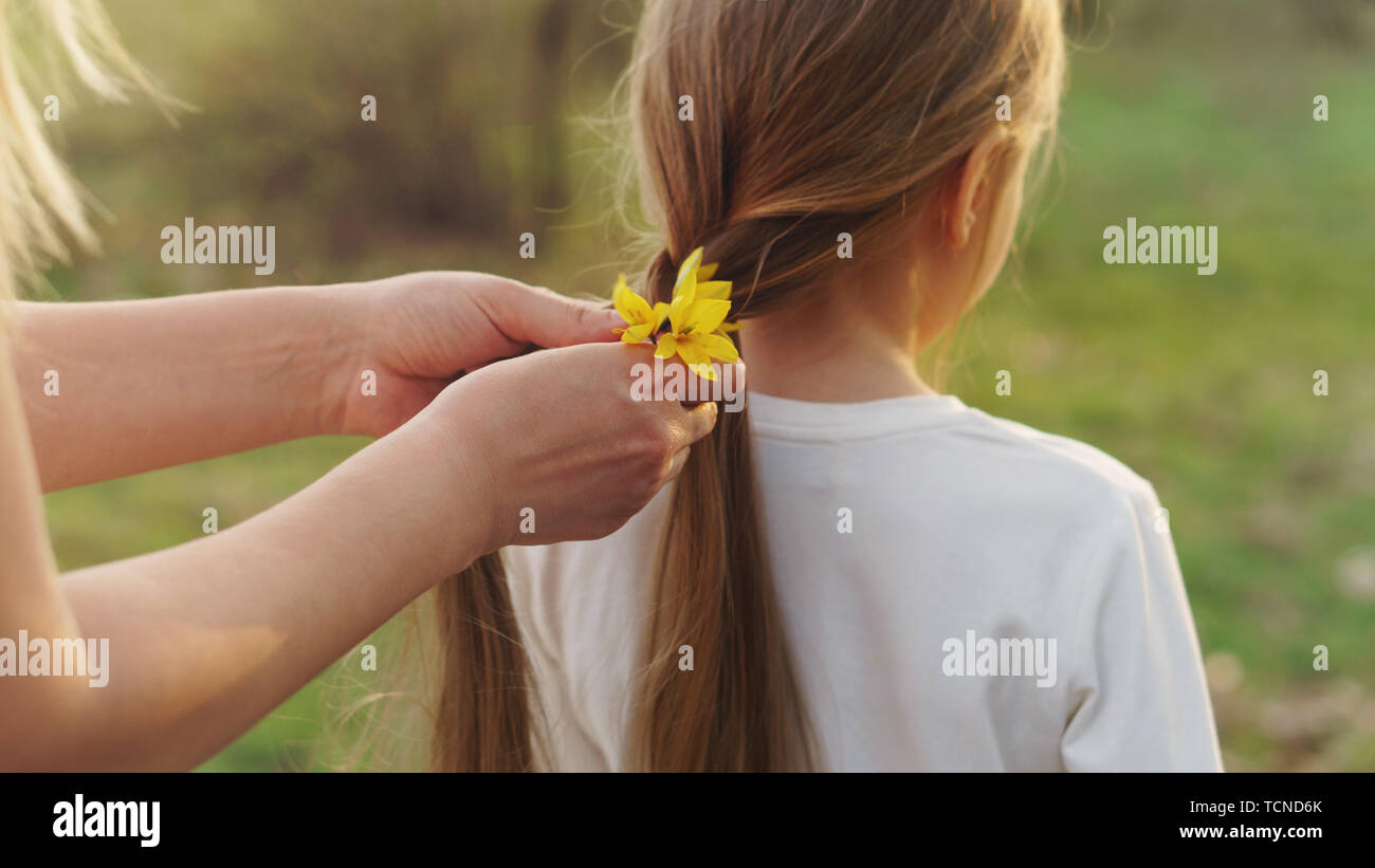Caring motherly hands braid the hair of little girl. Mom adorns her ...