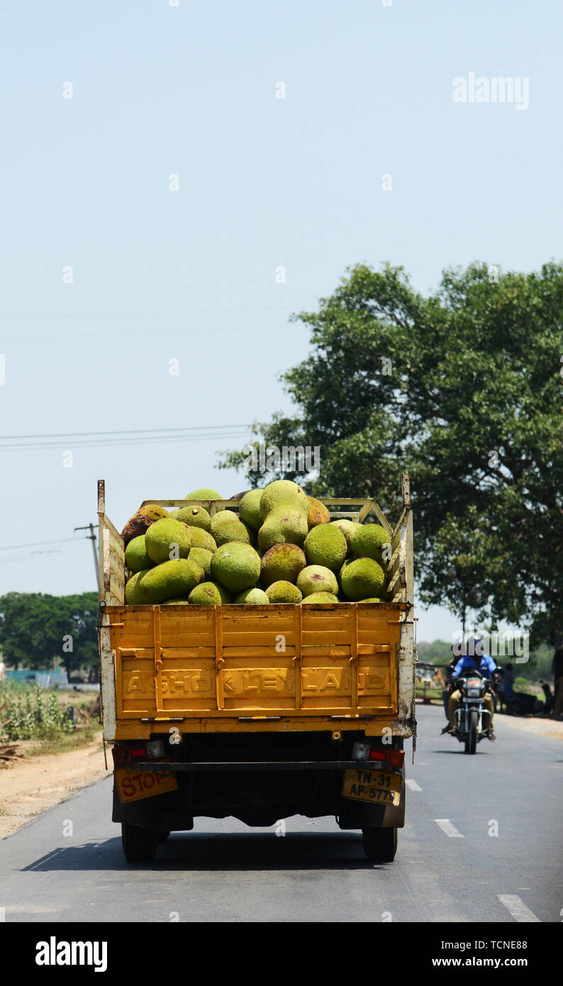 Transporting fruits truck hi-res stock photography and images - Alamy