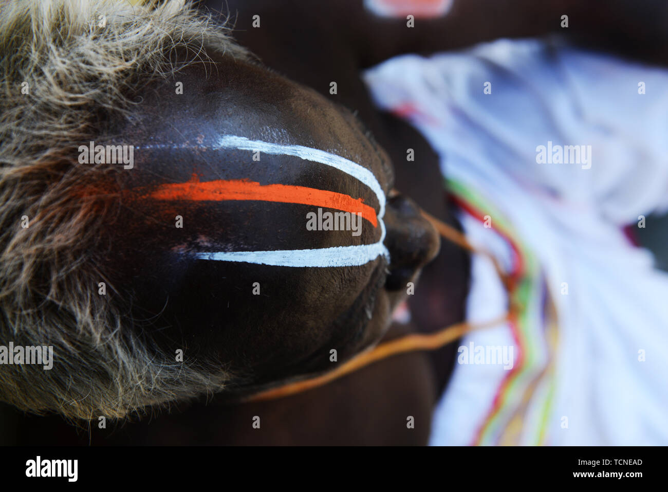 A Vaishnavite Brahmin wearing a Urdhva Pundra tilak on his forehead ...