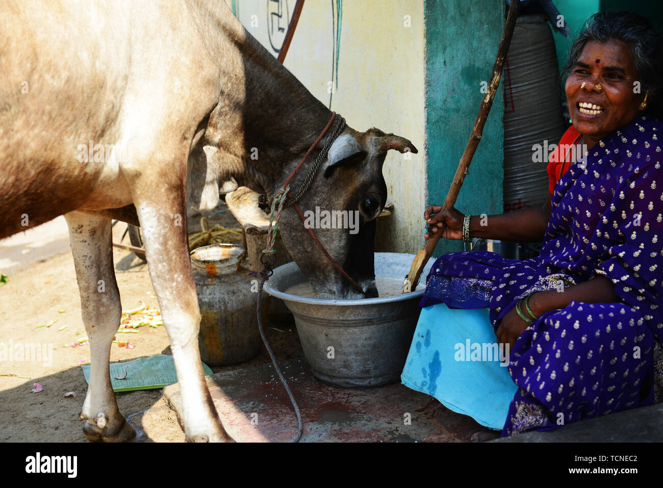 Tamil nadu village hi-res stock photography and images - Alamy