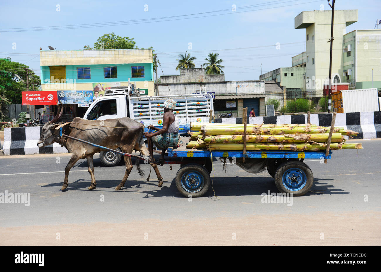 Bullock cart india hi-res stock photography and images - Alamy