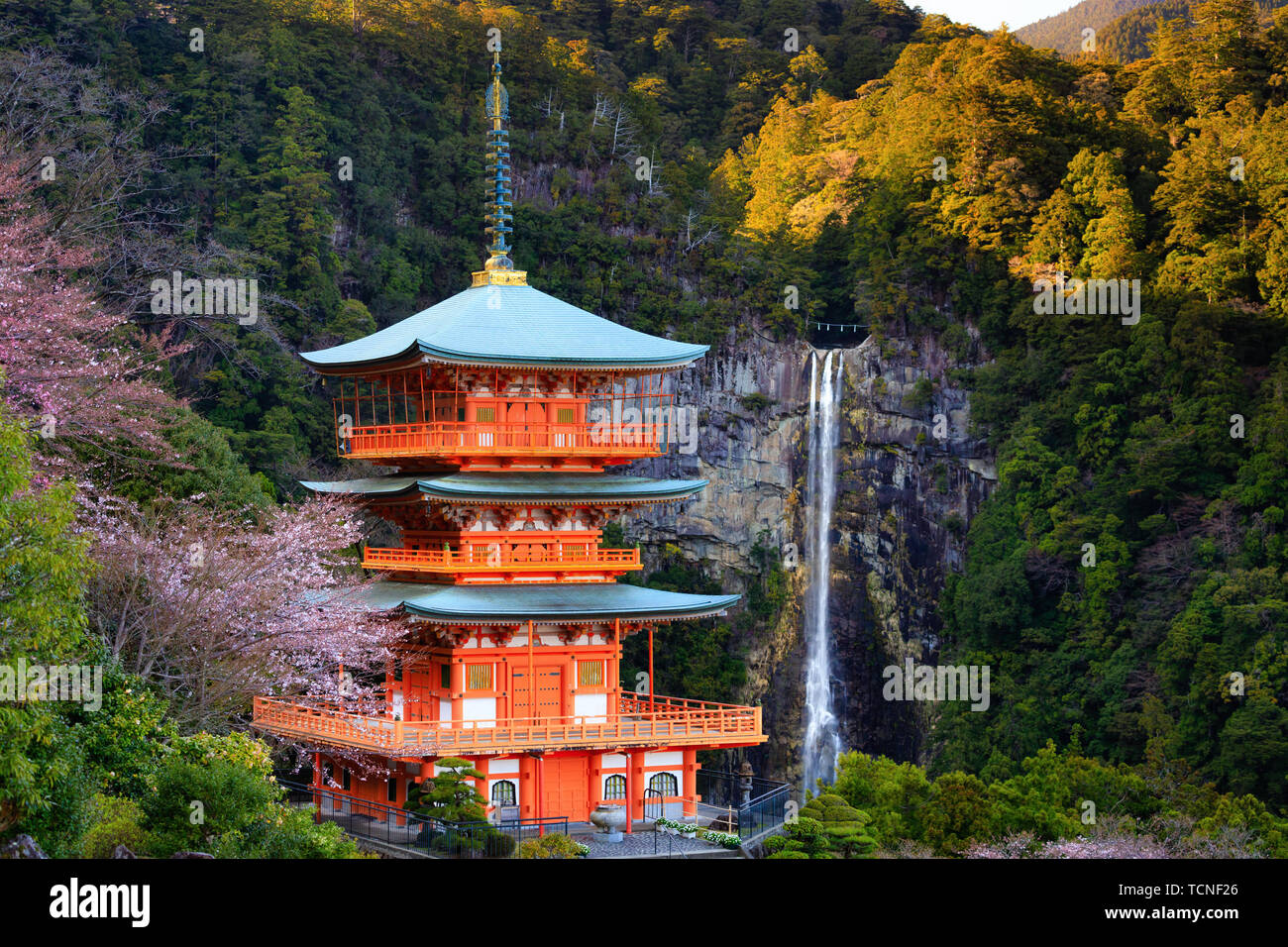 Japanese temple and Waterfall at Nachi Taisha, Kansai province Stock ...