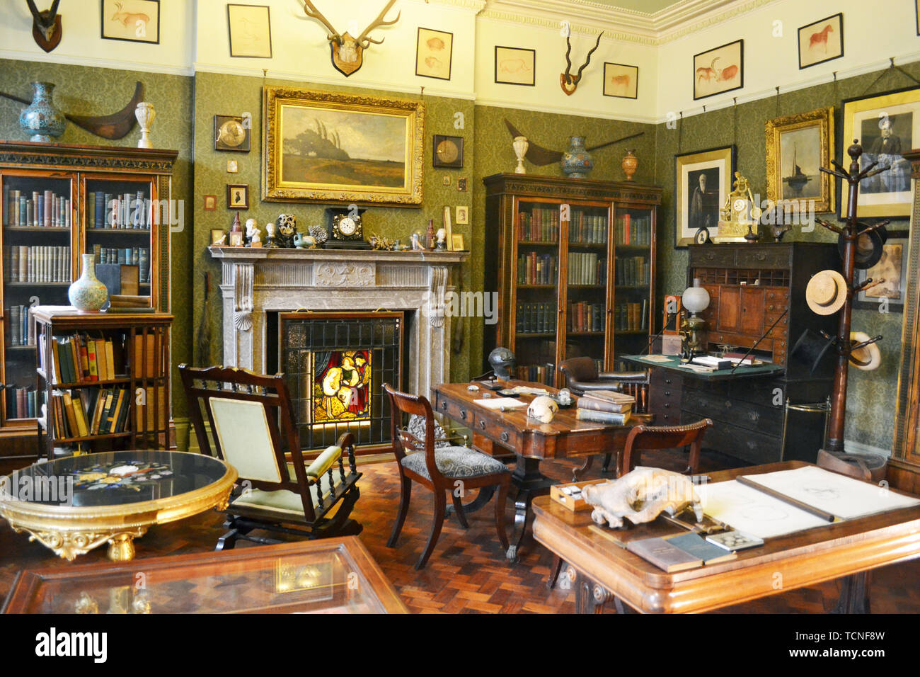 Victorian Library Study Books Portraits Hi-res Stock, 40% OFF