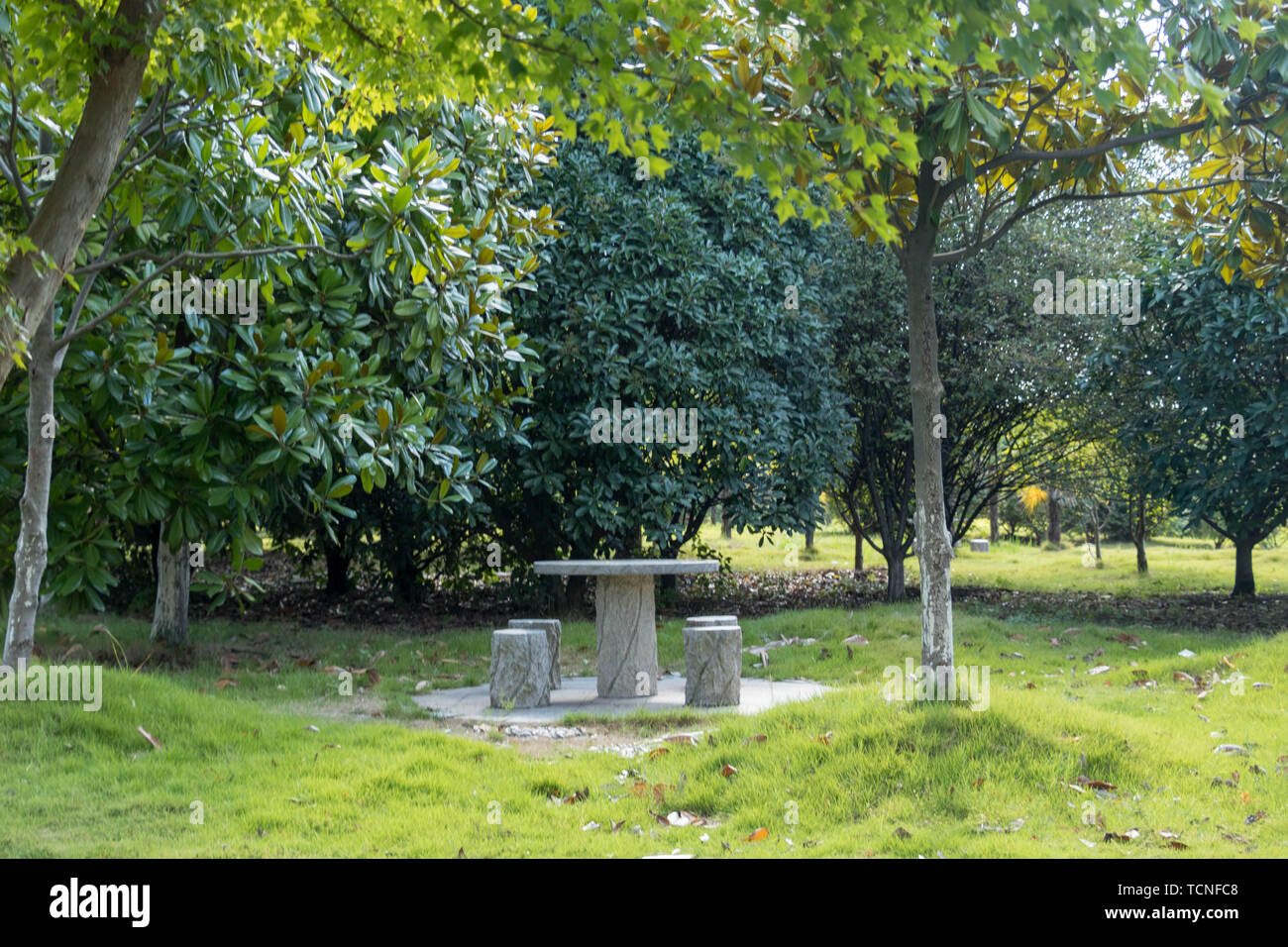 Longyun Lake, Wuhan University of Technology Stock Photo - Alamy