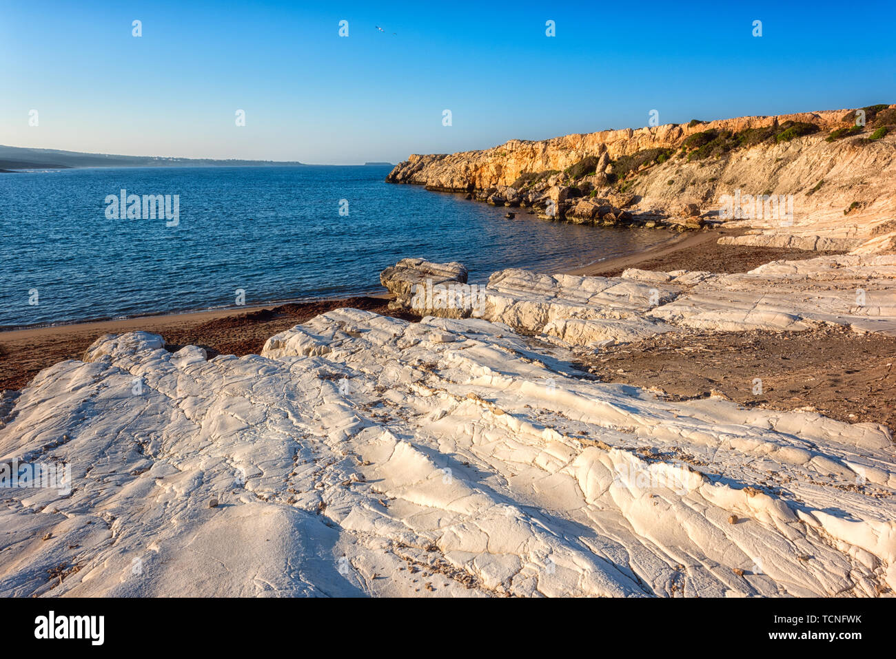 Chalk beach on Cyprus, scenic morning seascape with white rocks, blue ...