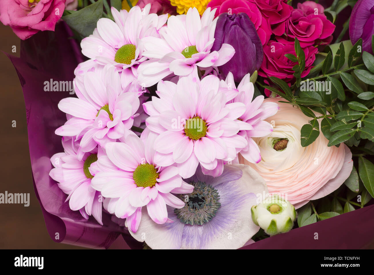 Fresh and beautiful hi-res stock photography and images - Alamy