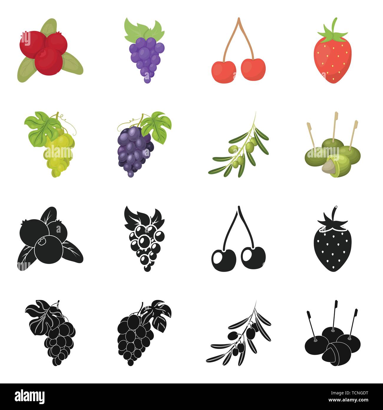 Vector illustration of berry and fruit icon. Collection of berry and ...