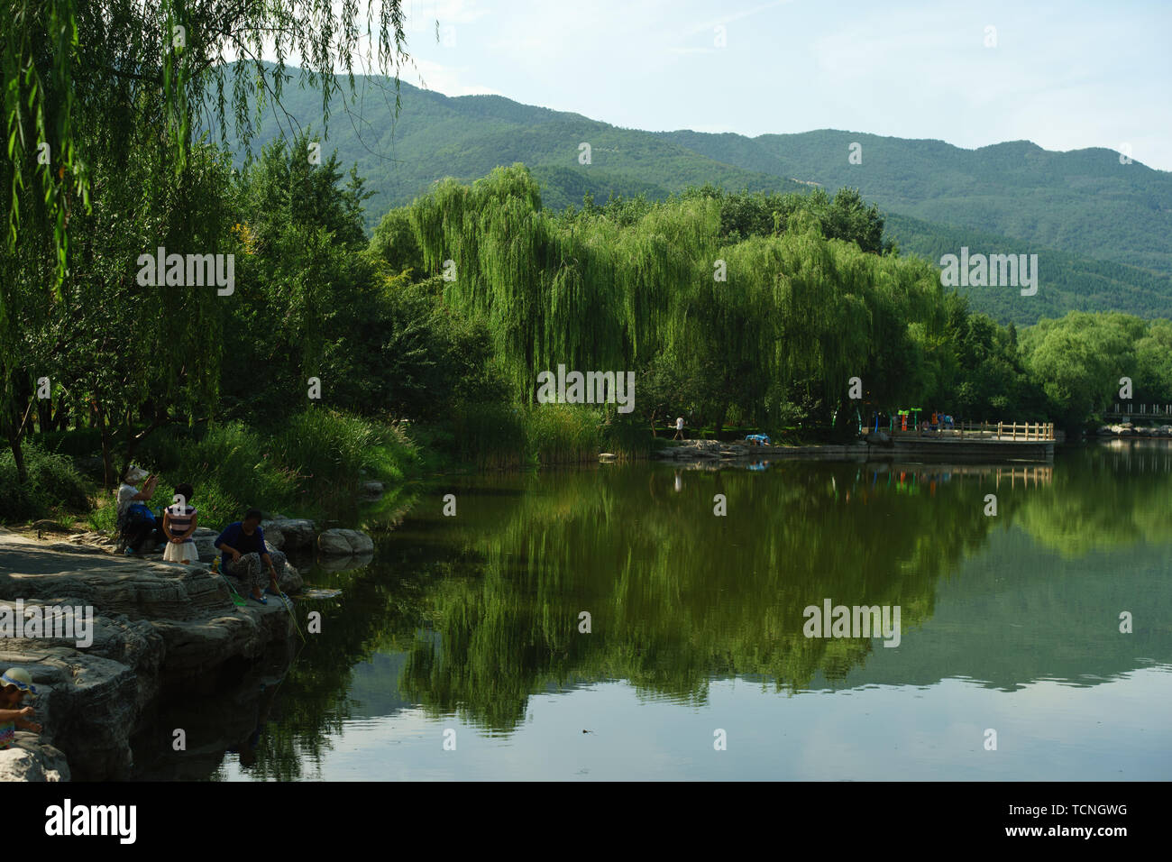 Beijing Botanical Garden Scenery Stock Photo - Alamy