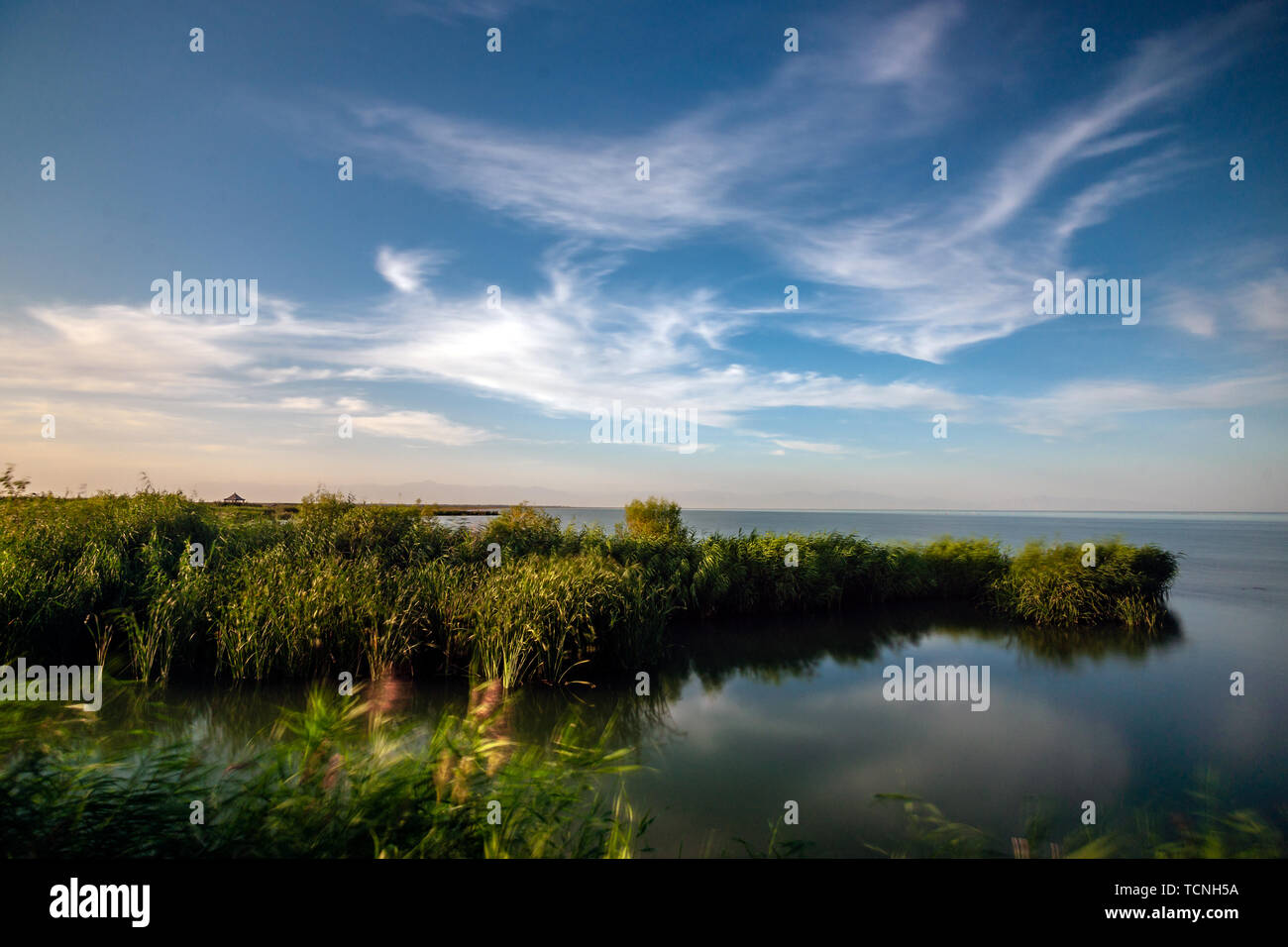 Photo taken in Bosten Lake, Xinjiang Stock Photo - Alamy