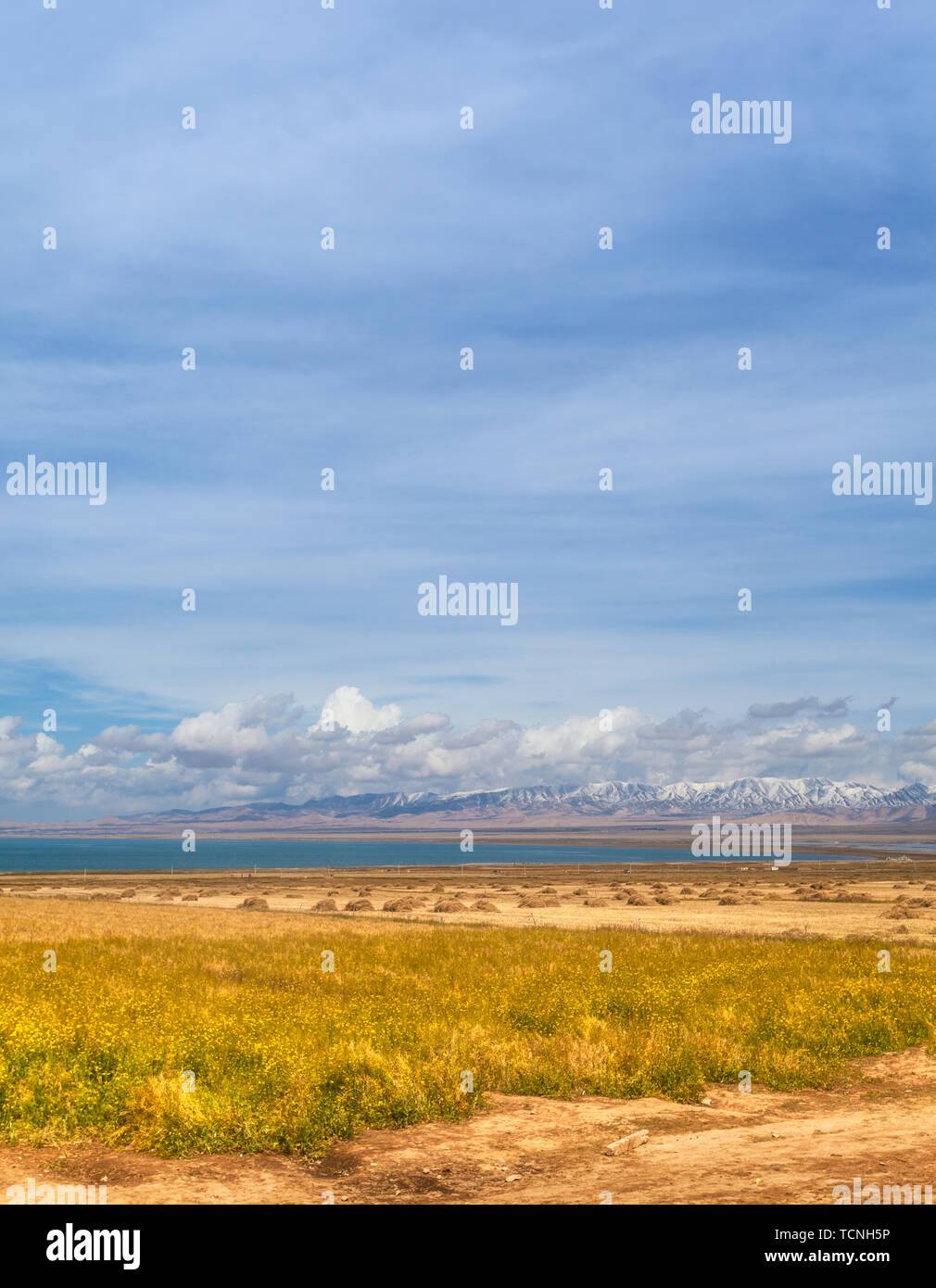 Qinghai lake scenic area hi-res stock photography and images - Alamy