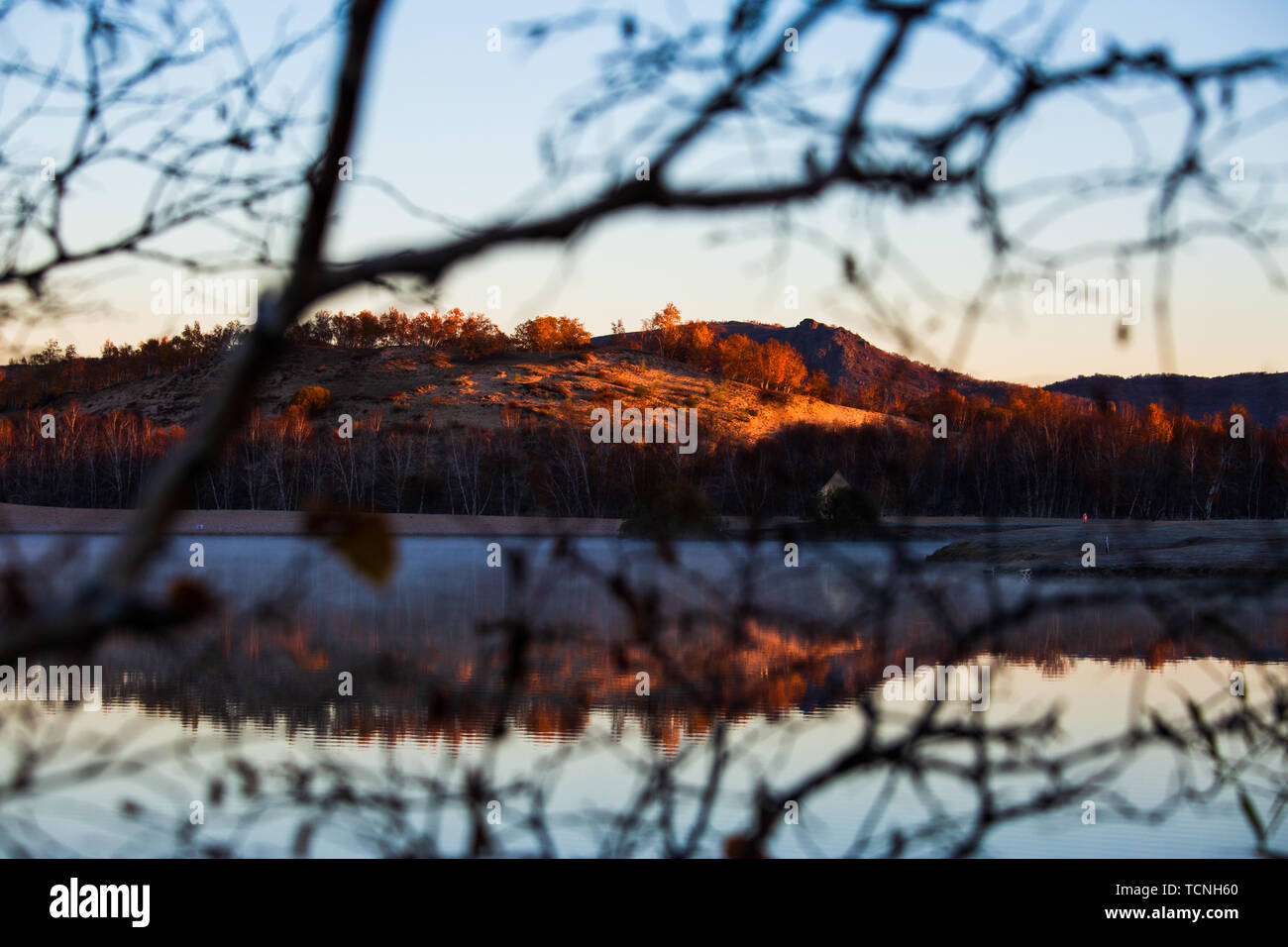 Princess of the prairie hi-res stock photography and images - Alamy