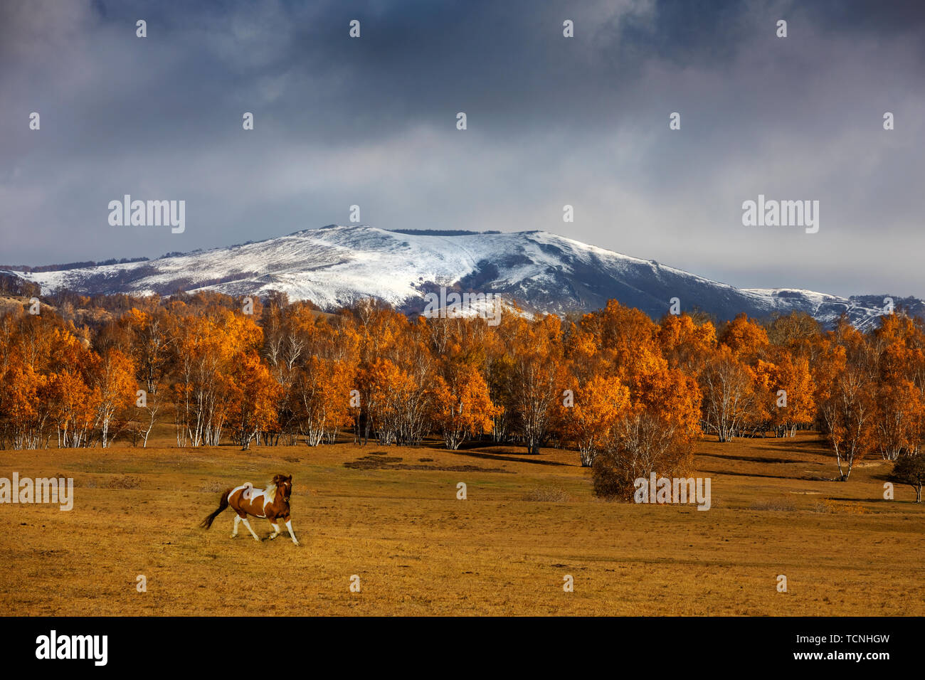 Autumn color on the dam Stock Photo - Alamy