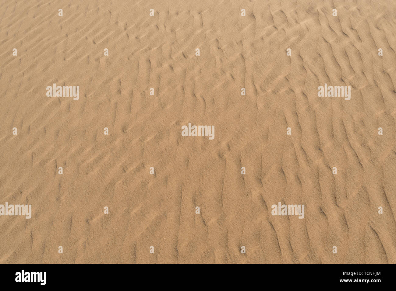 Desert texture background closeup Stock Photo - Alamy
