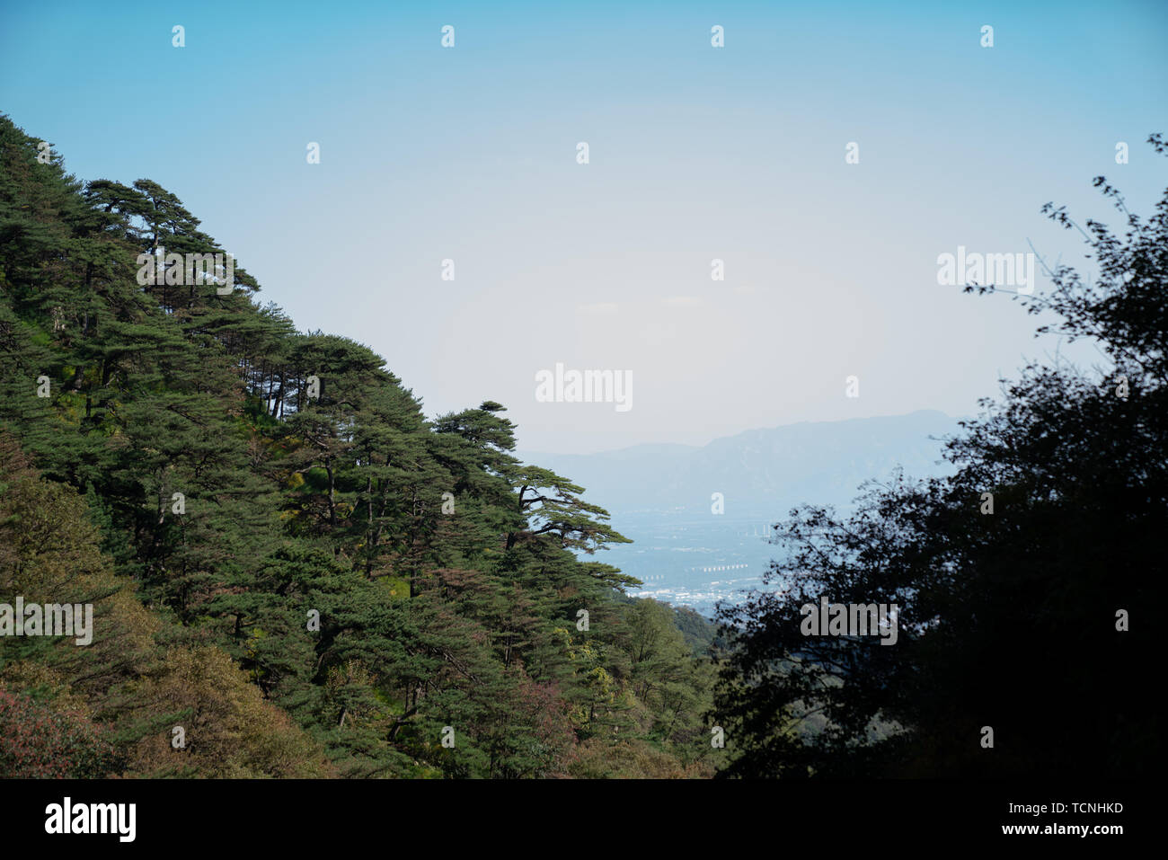 Mount Taishan Scenic Area Stock Photo - Alamy