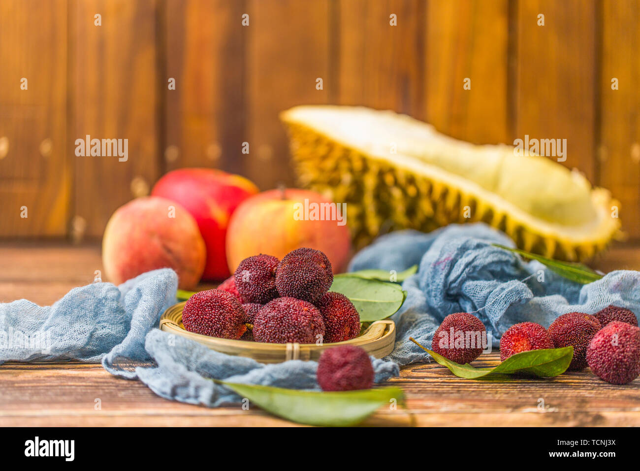 Bayberry family hi-res stock photography and images - Alamy