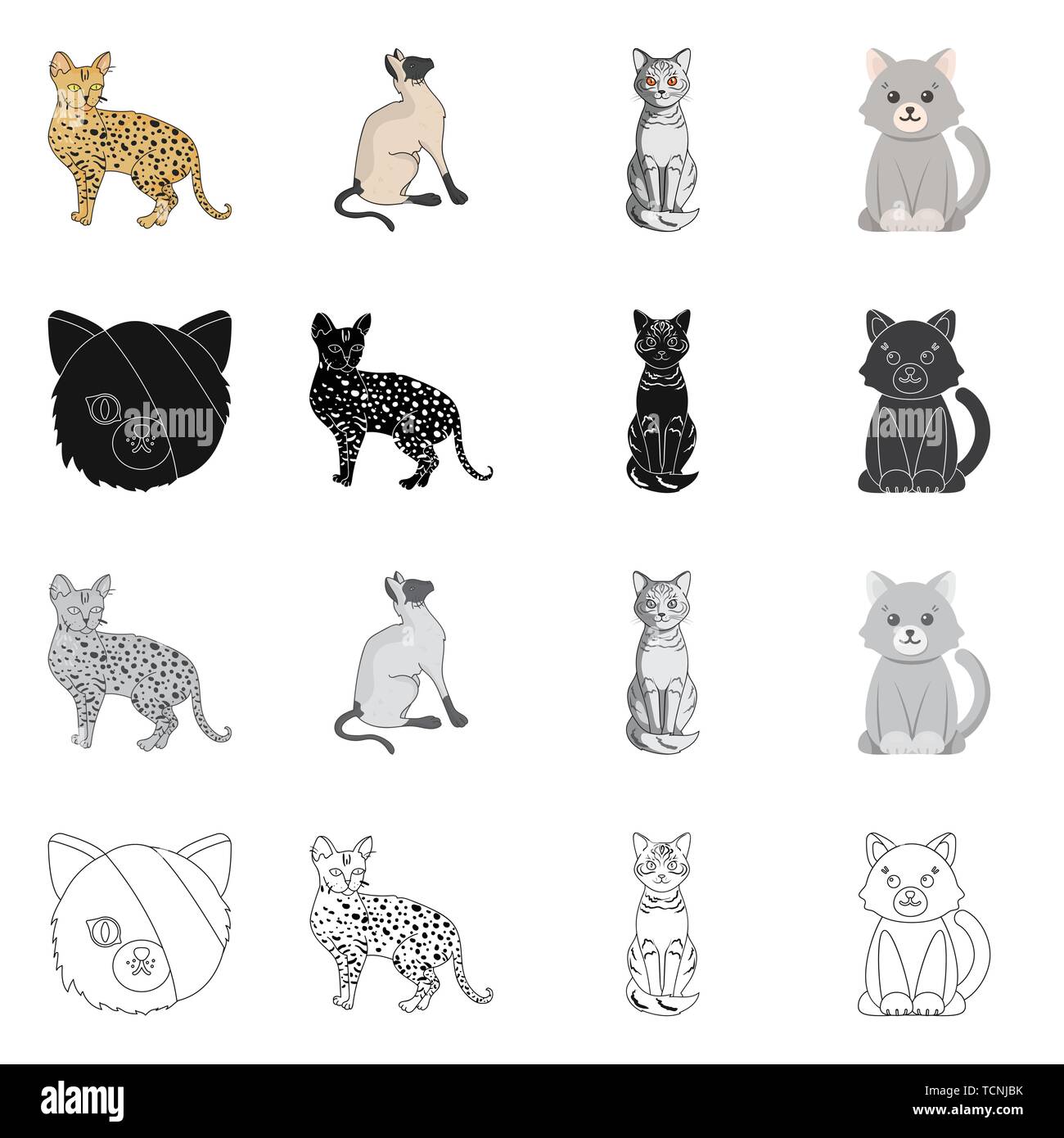 Vector illustration of pet and sphynx icon. Collection of pet and fun ...