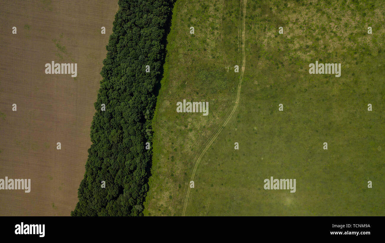 Green landscape with forest and meadowv - top down aerial view Stock ...
