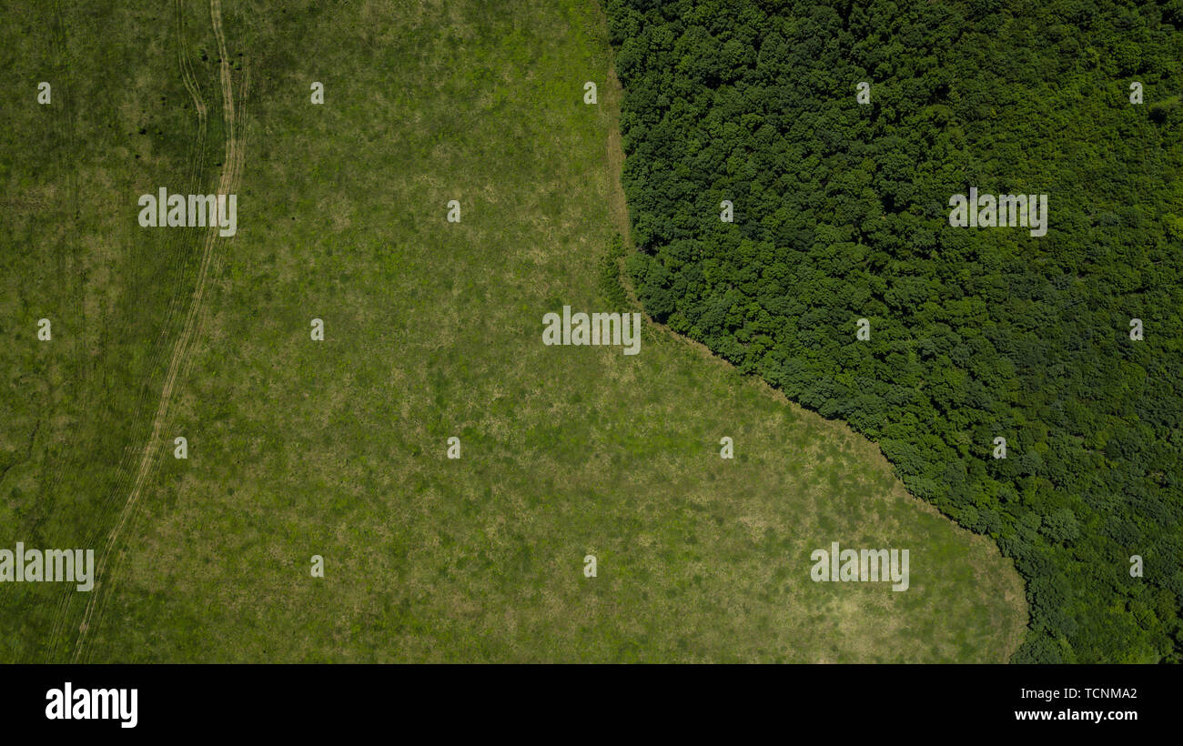 Green landscape with forest and meadowv - top down aerial view Stock ...