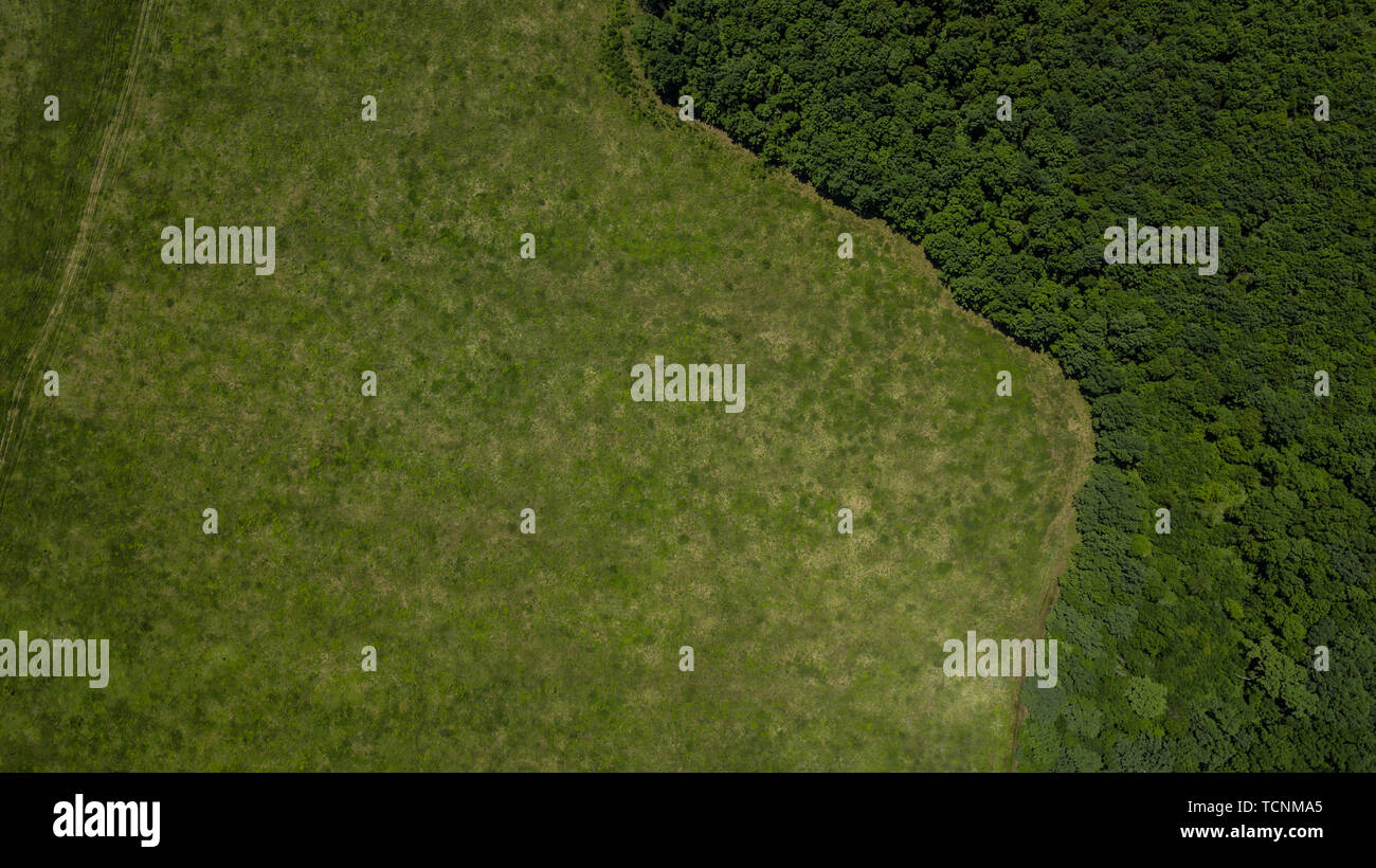 Green landscape with forest and meadowv - top down aerial view Stock ...