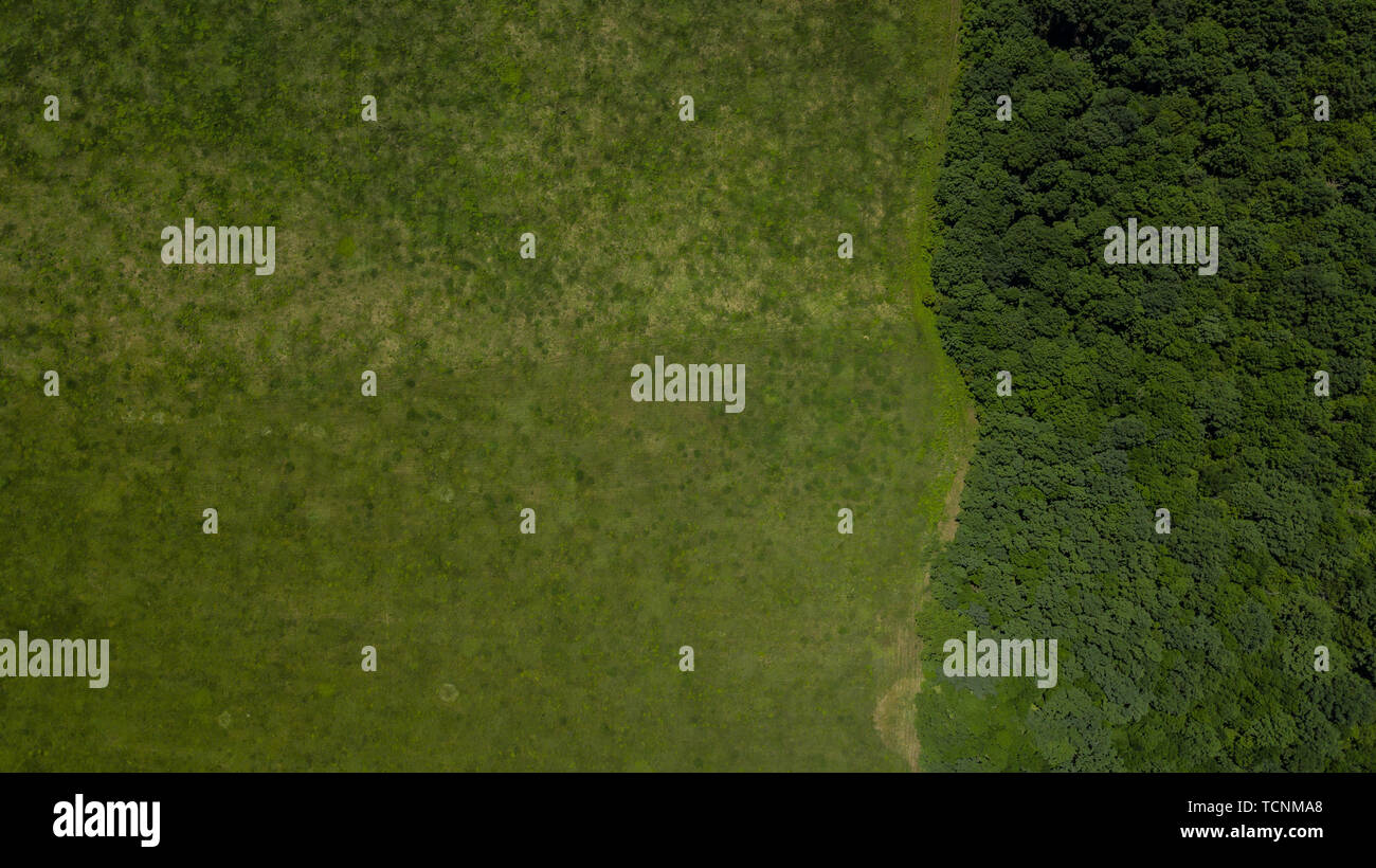 Green landscape with forest and meadowv - top down aerial view Stock ...