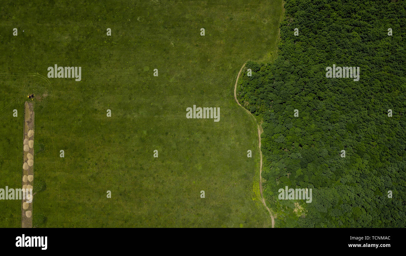 Green landscape with forest and meadowv - top down aerial view Stock ...