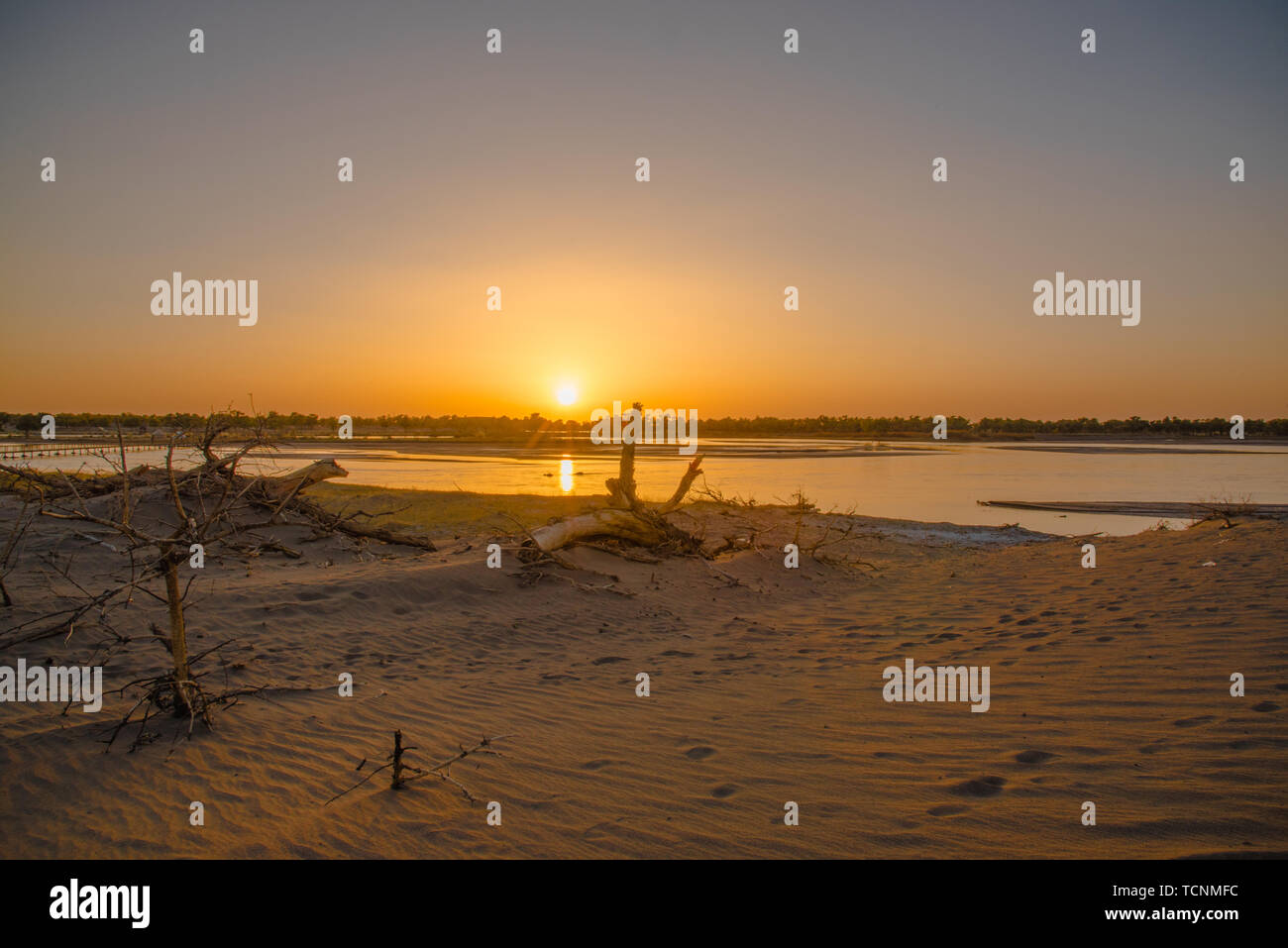 Inner Mongolia Alashan Ejina flag weak water Jinsha Bay Hu Yang Lin ...