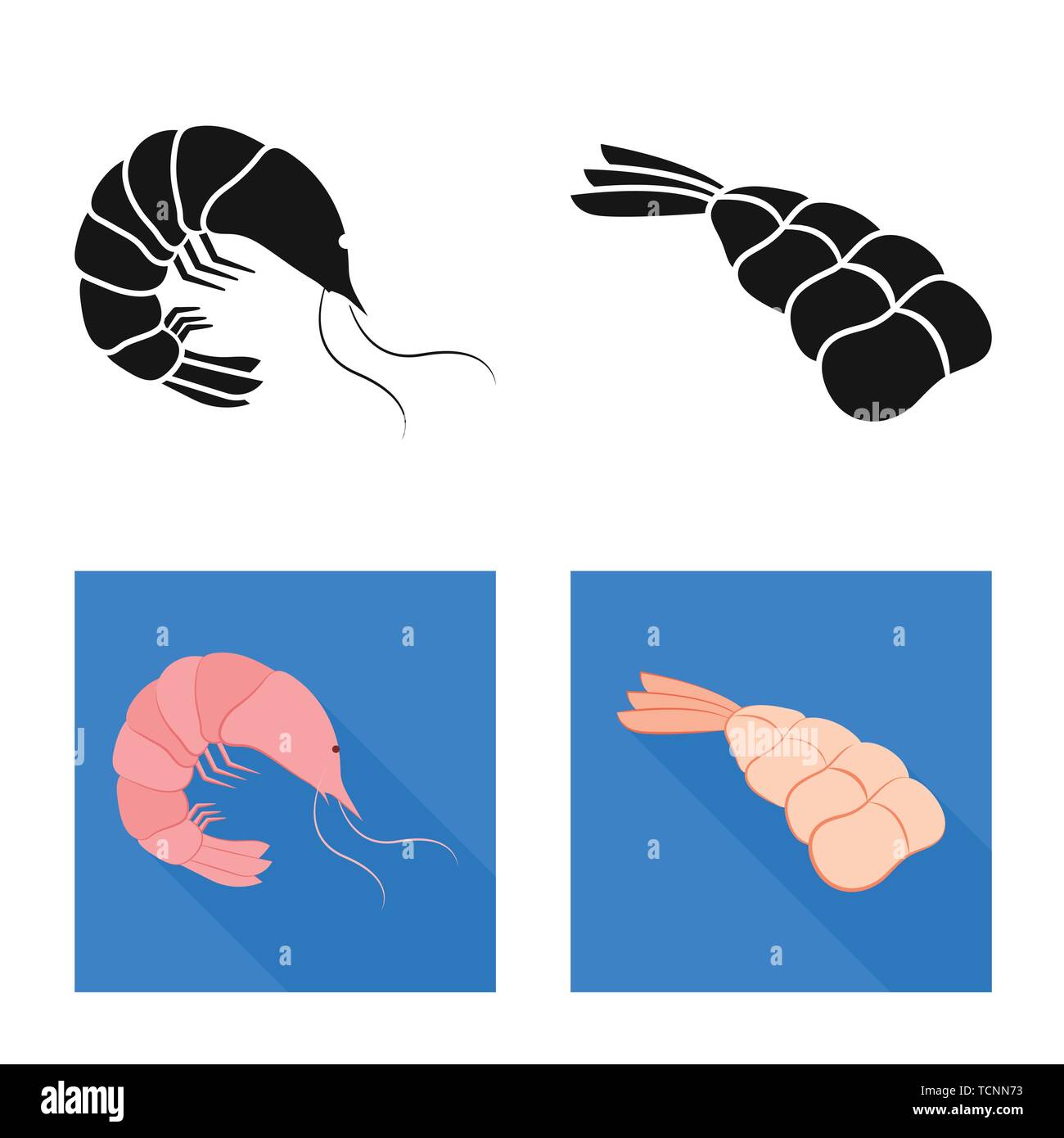 prawn,creature,boiled,fresh,restaurant,raw,cooked,luxury,underwater ...