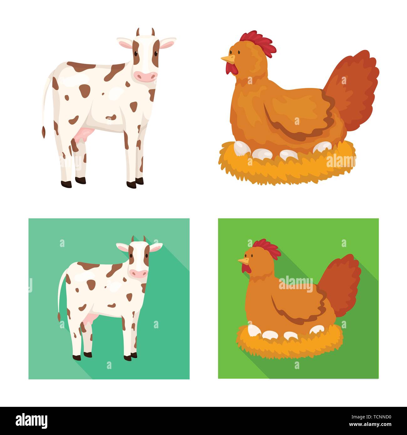 cow,hen,calf,bird,animal,funny,milk,egg,cattle,beef,fowl,meat,poultry ...