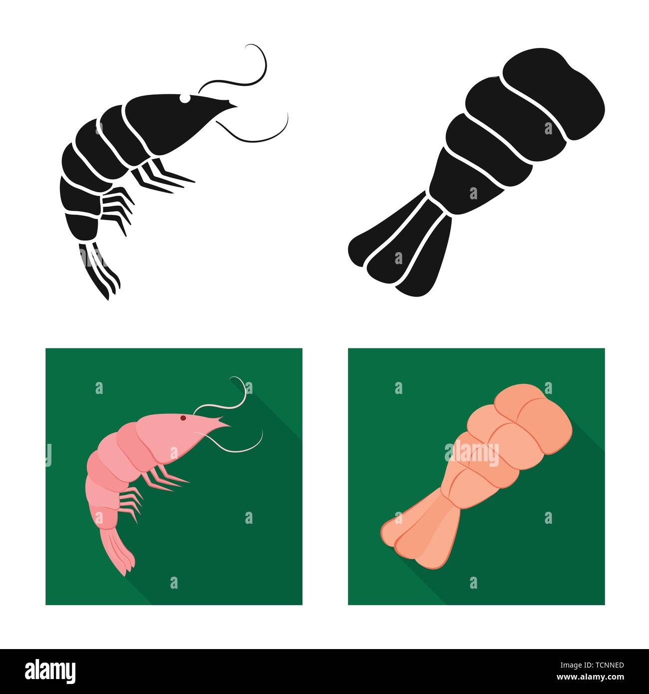 prawn,raw,cooked,luxury,underwater,atlantic,fresh,happy,aquatic,boiled ...