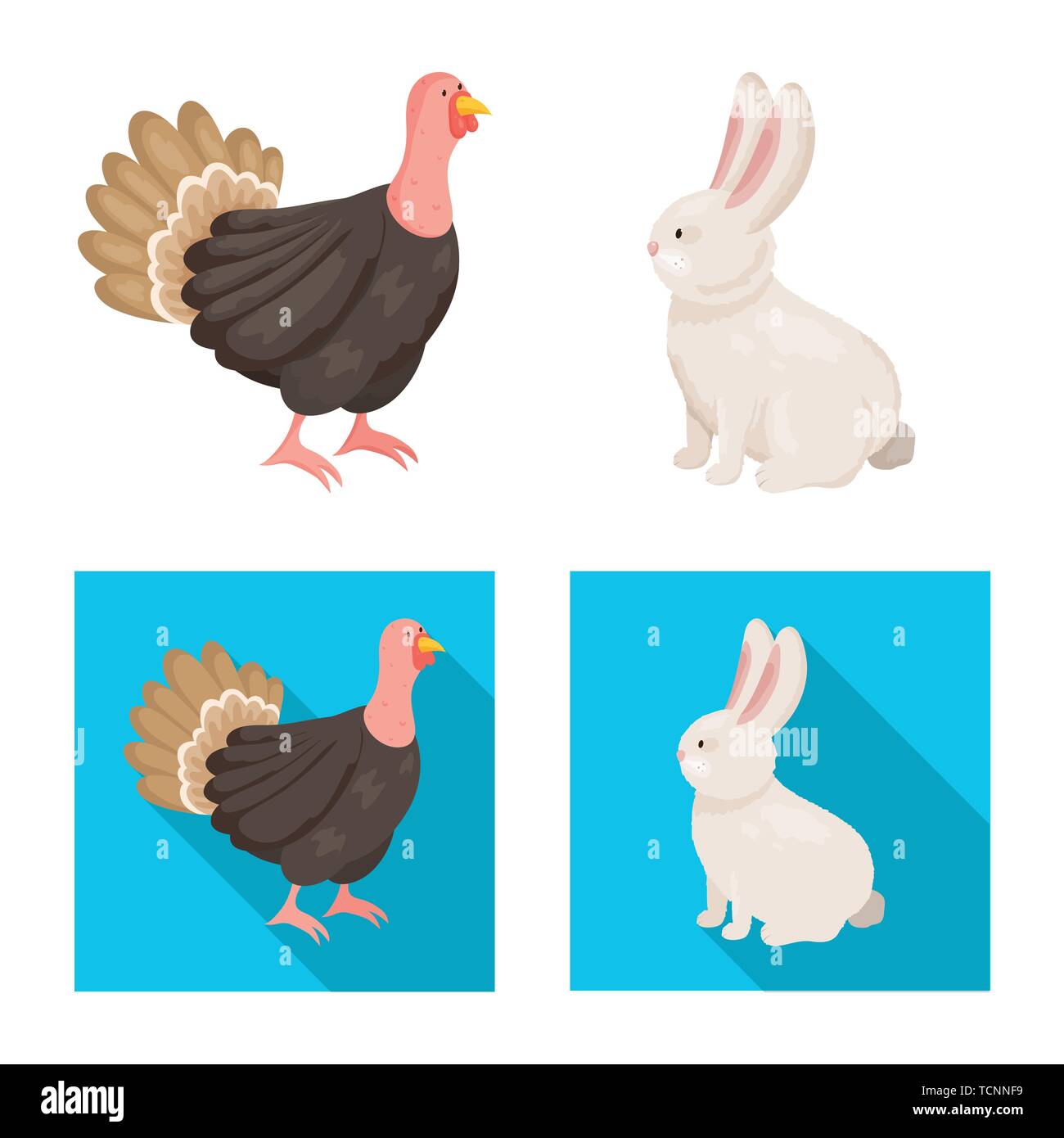 turkey,rabbit,bird,pet,funny,animal,thanksgiving,bunny,festival,meat ...