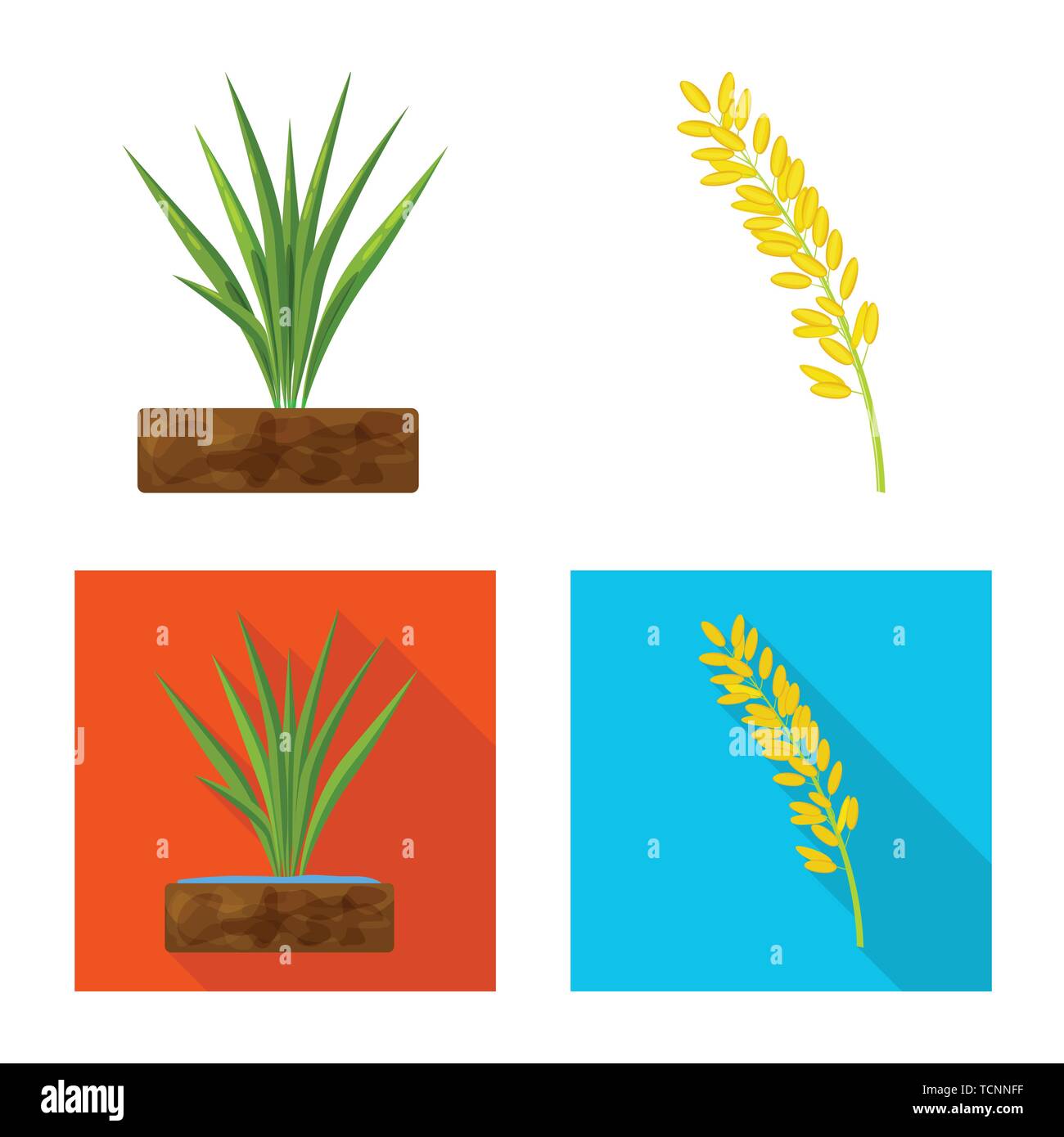 Rice panicle Stock Vector Images - Alamy