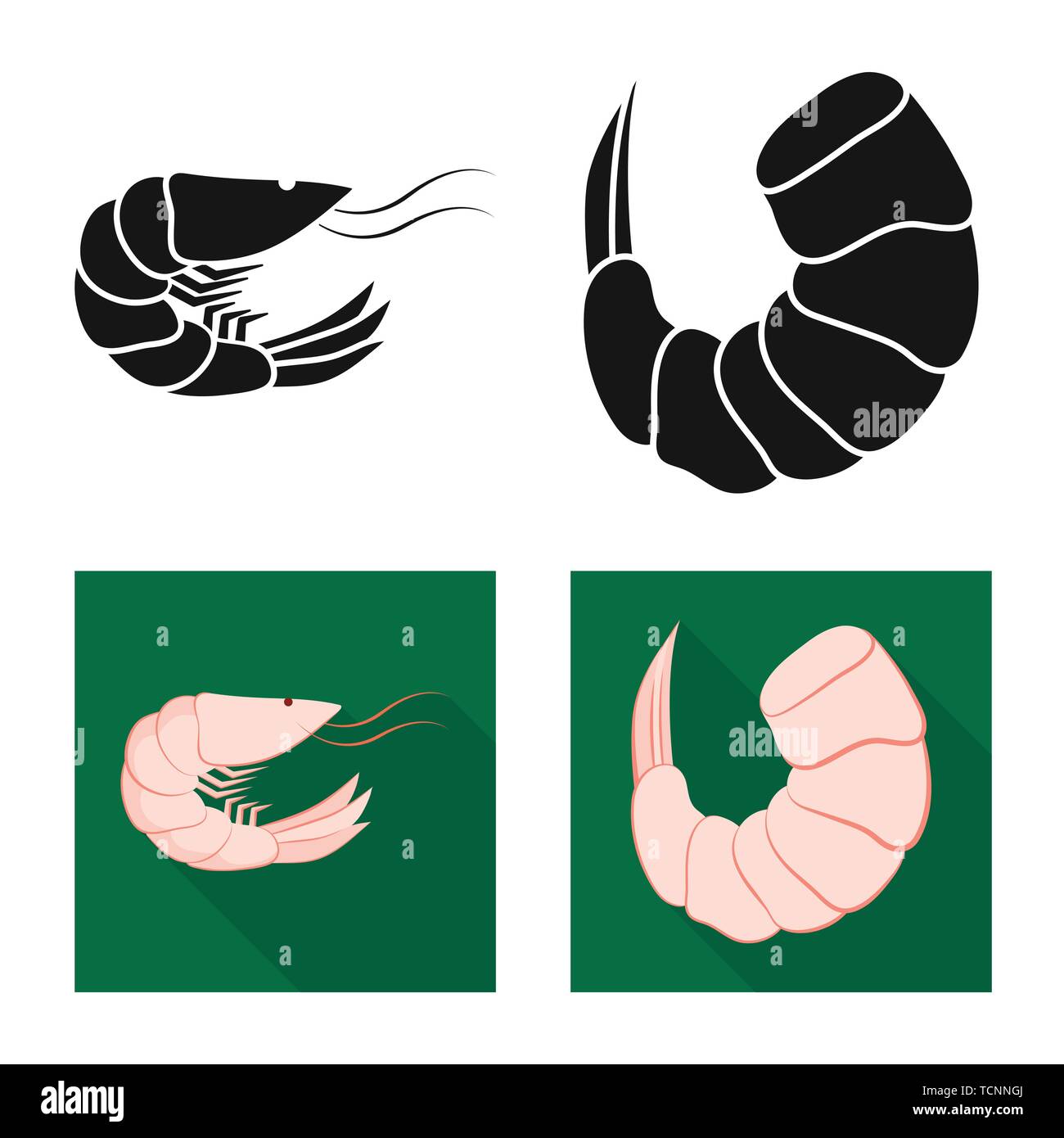 prawn,creature,boiled,fresh,restaurant,raw,aquatic,cooked,luxury ...