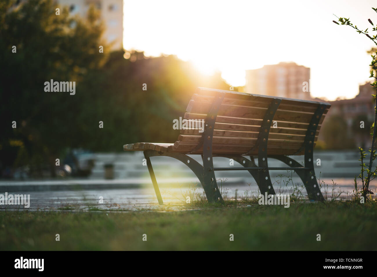 Beauty and park and bench and sky hi-res stock photography and images ...