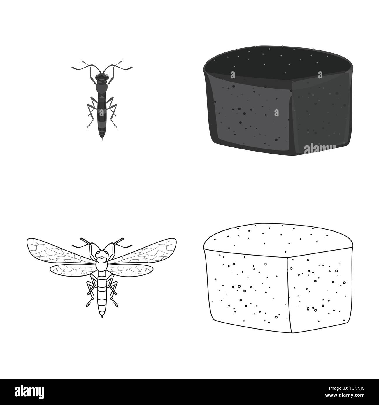 fly,bread,insect,pest,brown,control,food,stop,healthy,wings ...