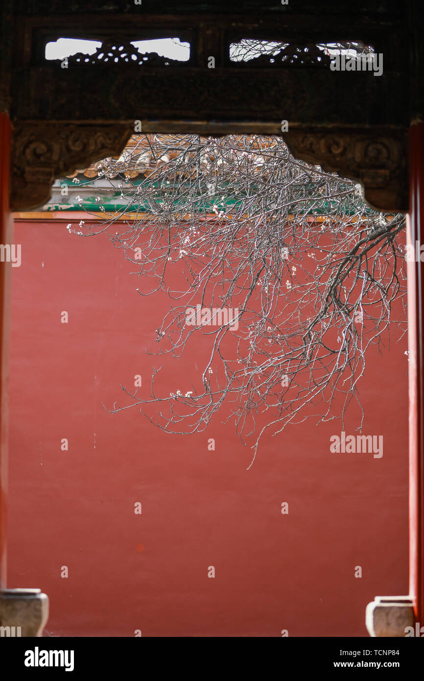 Spring Palace Museum Stock Photo - Alamy
