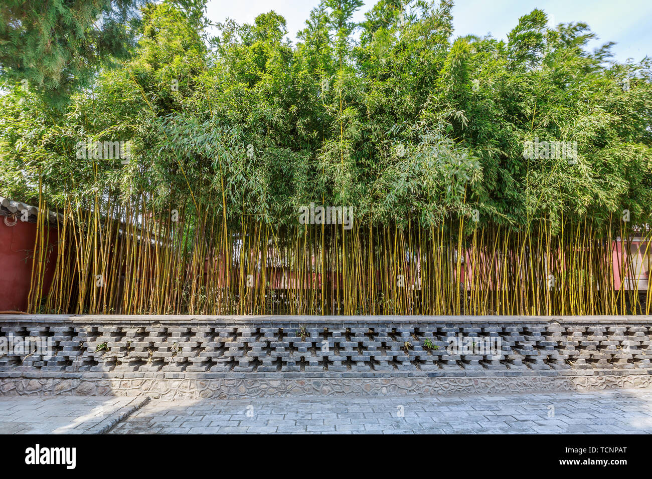 Dai temple in china taishan hi-res stock photography and images - Alamy