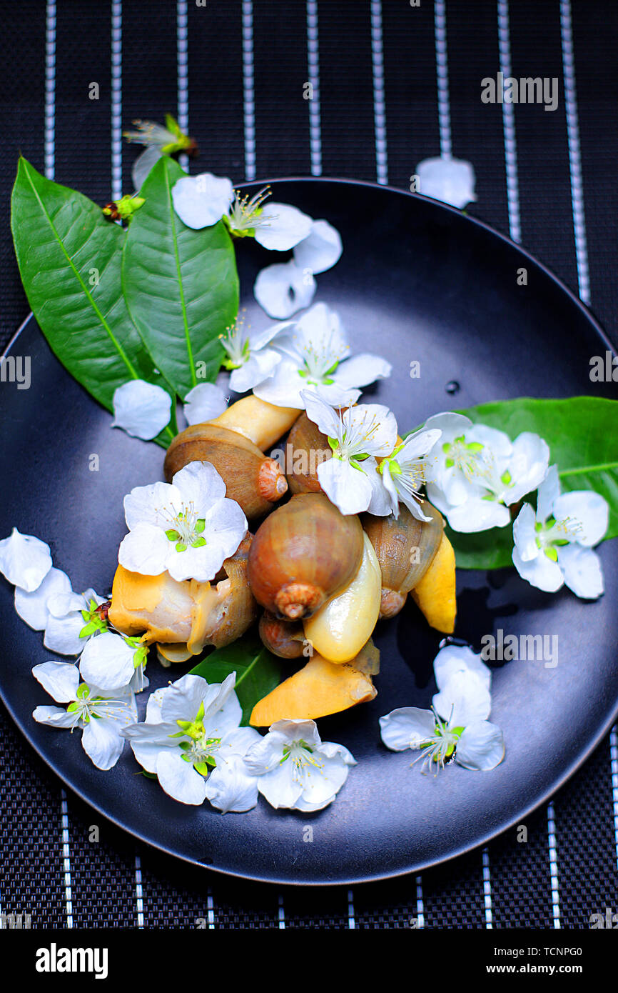 Fake abalone hi-res stock photography and images - Alamy