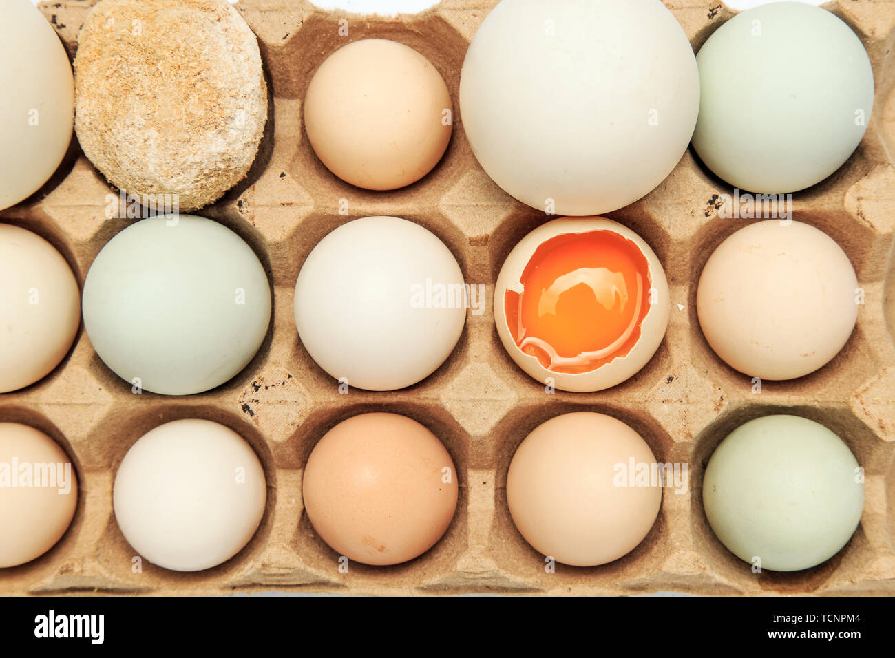Gets eggs hi-res stock photography and images - Alamy
