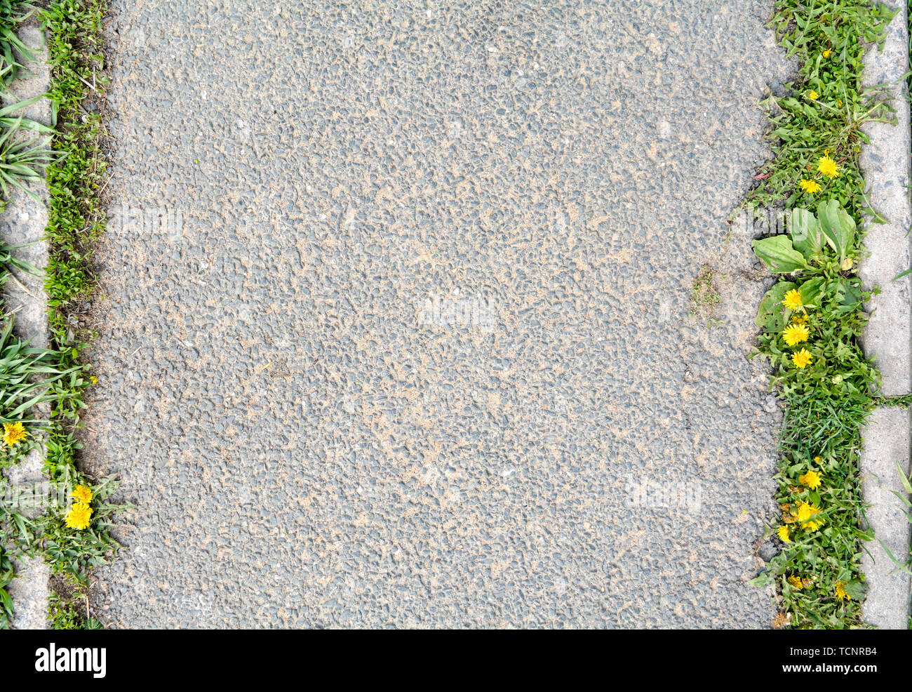 Footpath Texture With Grass