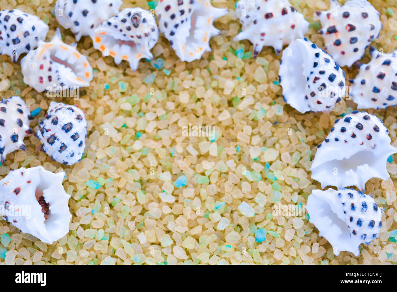 Sea Shells on Crystals of Aromatic Bath Sea Salt for Spa may use as ...