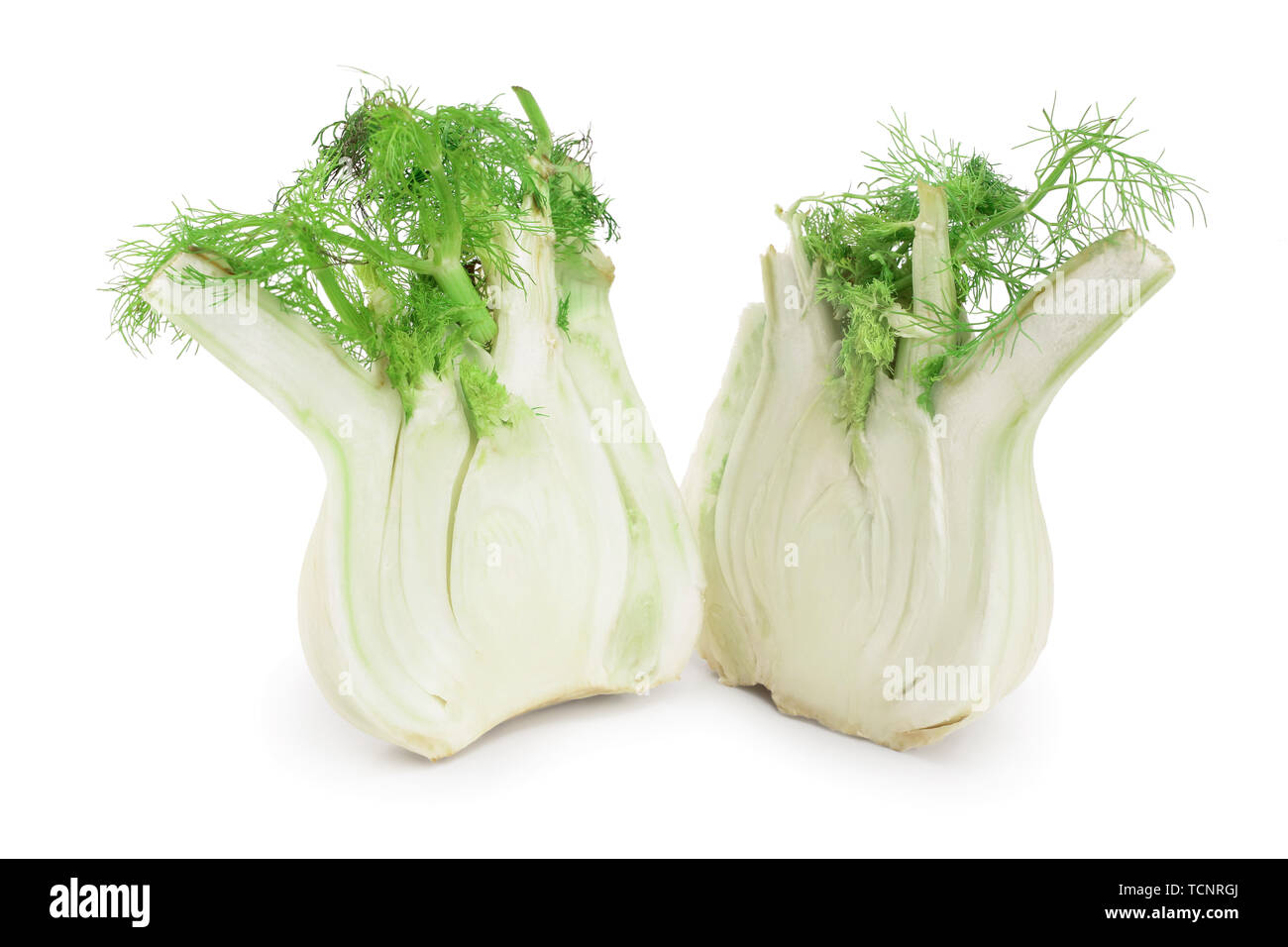 Fennel Bulb. Single fresh fennel bulb with leaves on white background ...