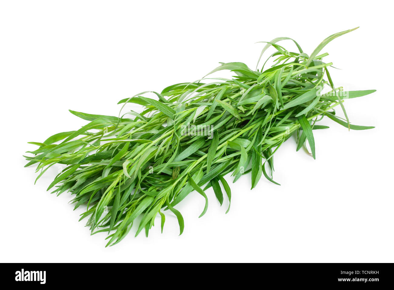 Estragon hi-res stock photography and images - Alamy