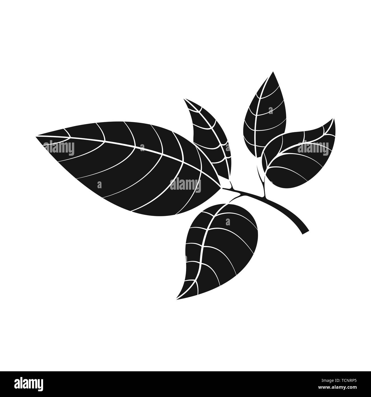 Vector illustration of tea and leaf symbol. Set of tea and fresh vector ...