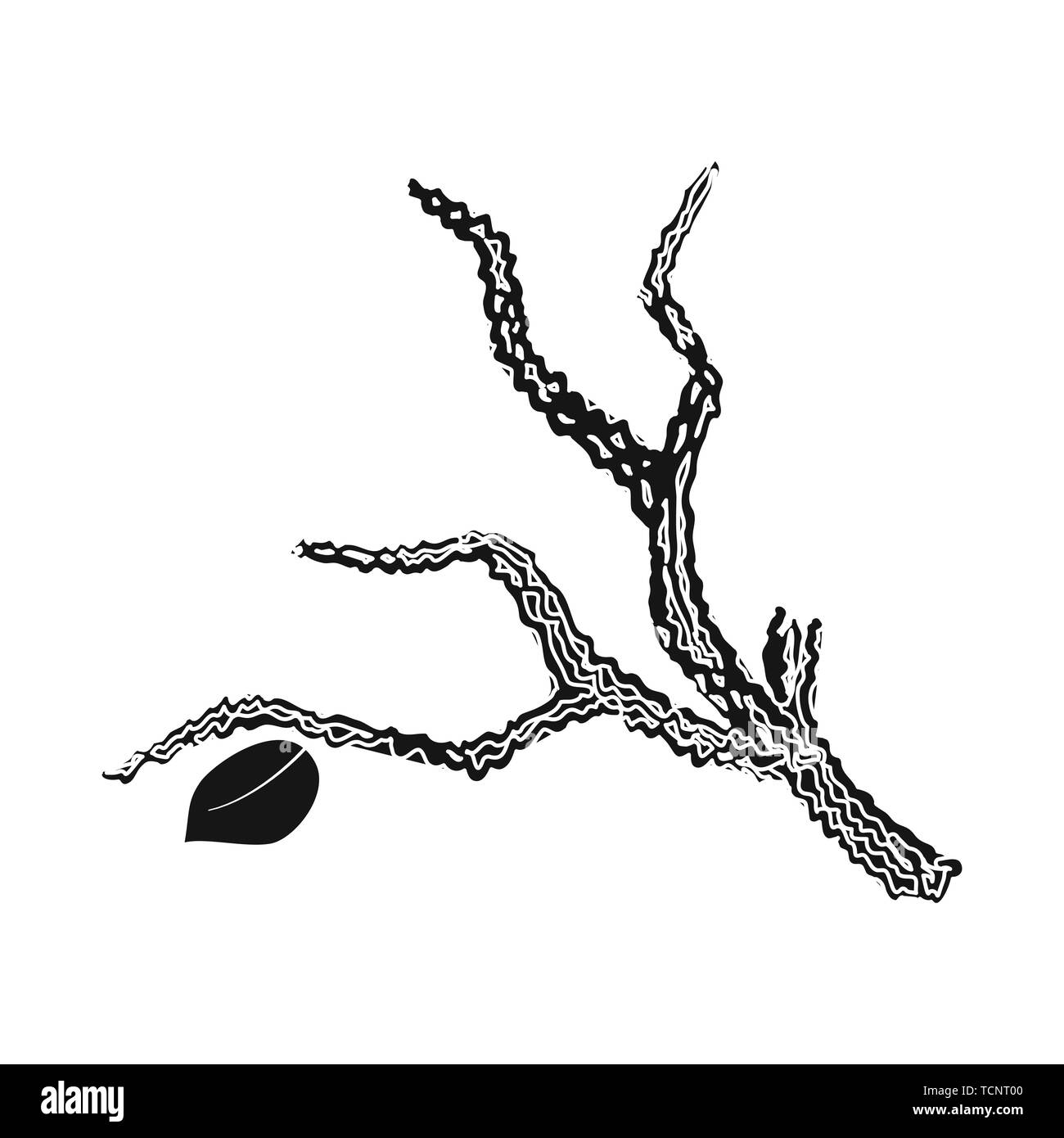 Vector illustration of branch and piece icon. Set of branch and waste ...