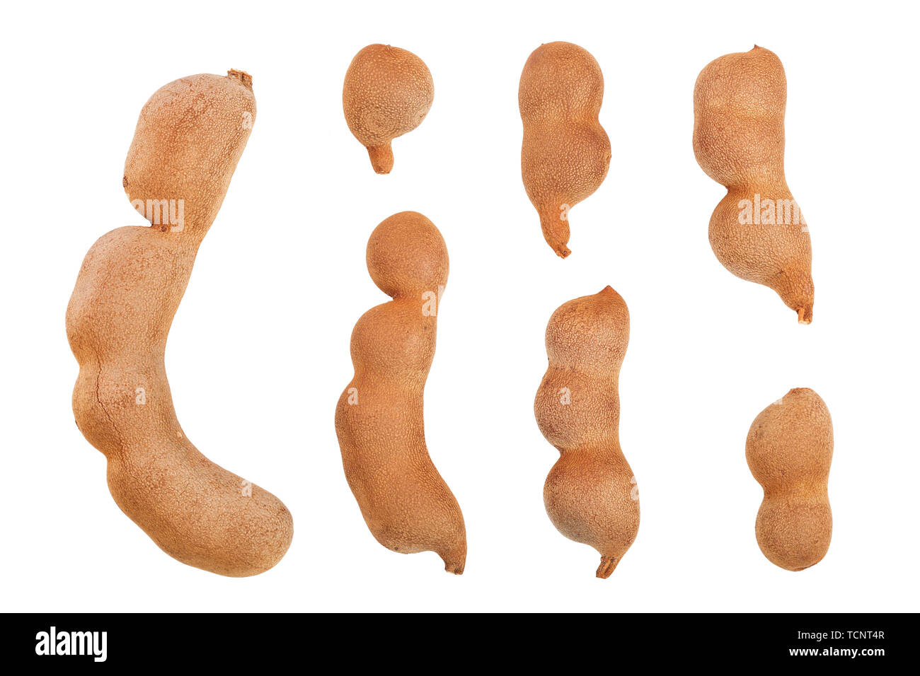 Tamarind fruit isolated on white background, Top view. Flat lay. Set or ...