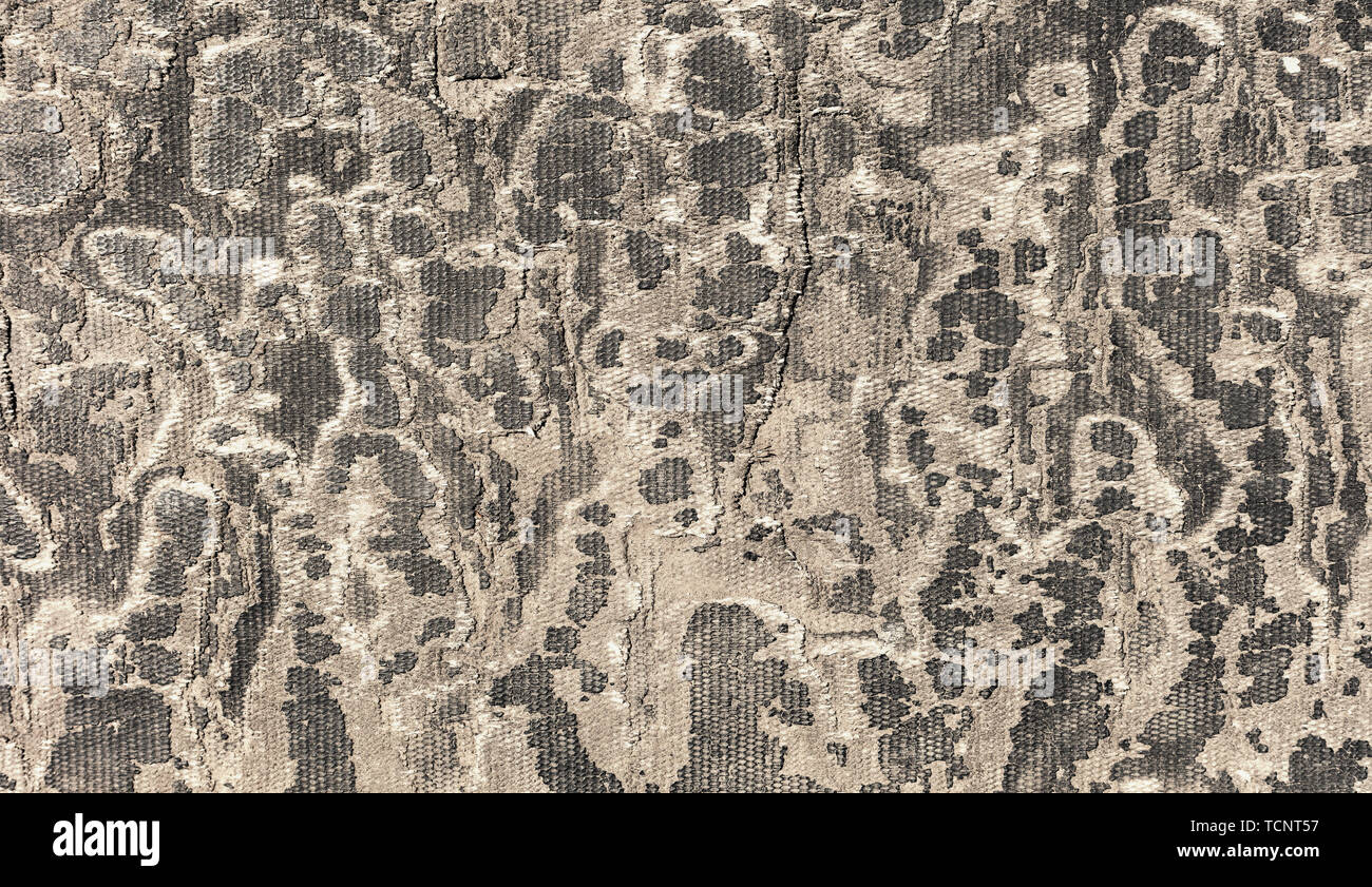 abstract background of concrete texture closeup Stock Photo - Alamy