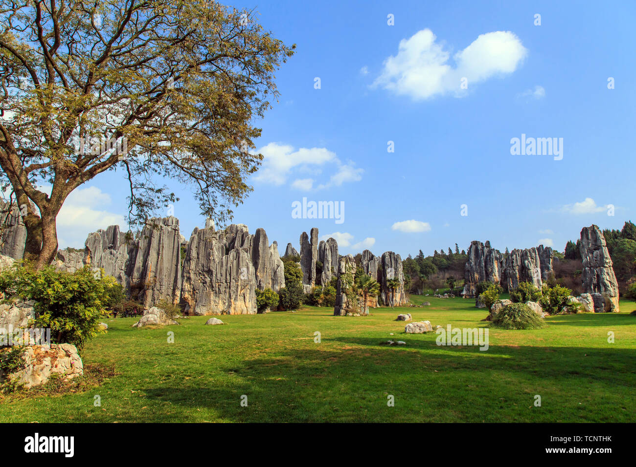 Shilin geopark hi-res stock photography and images - Alamy